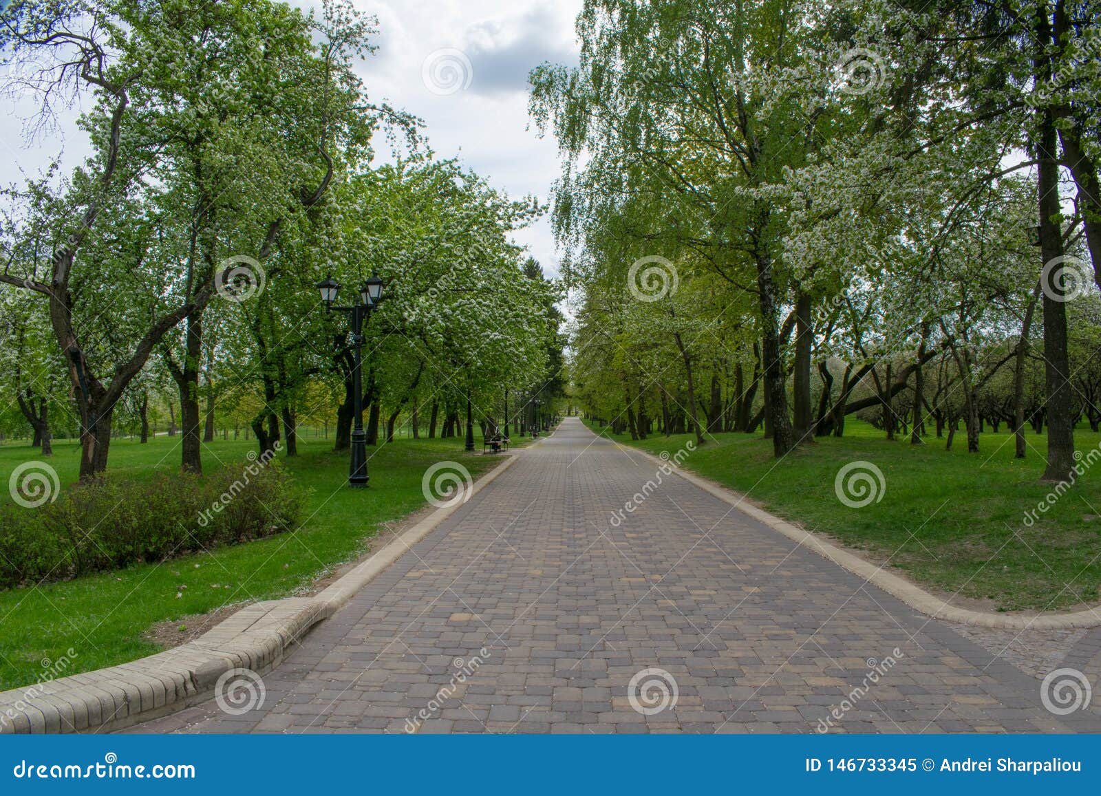 Tracks in Spring Park Landscape Against Blue Sky Stock Image - Image of ...