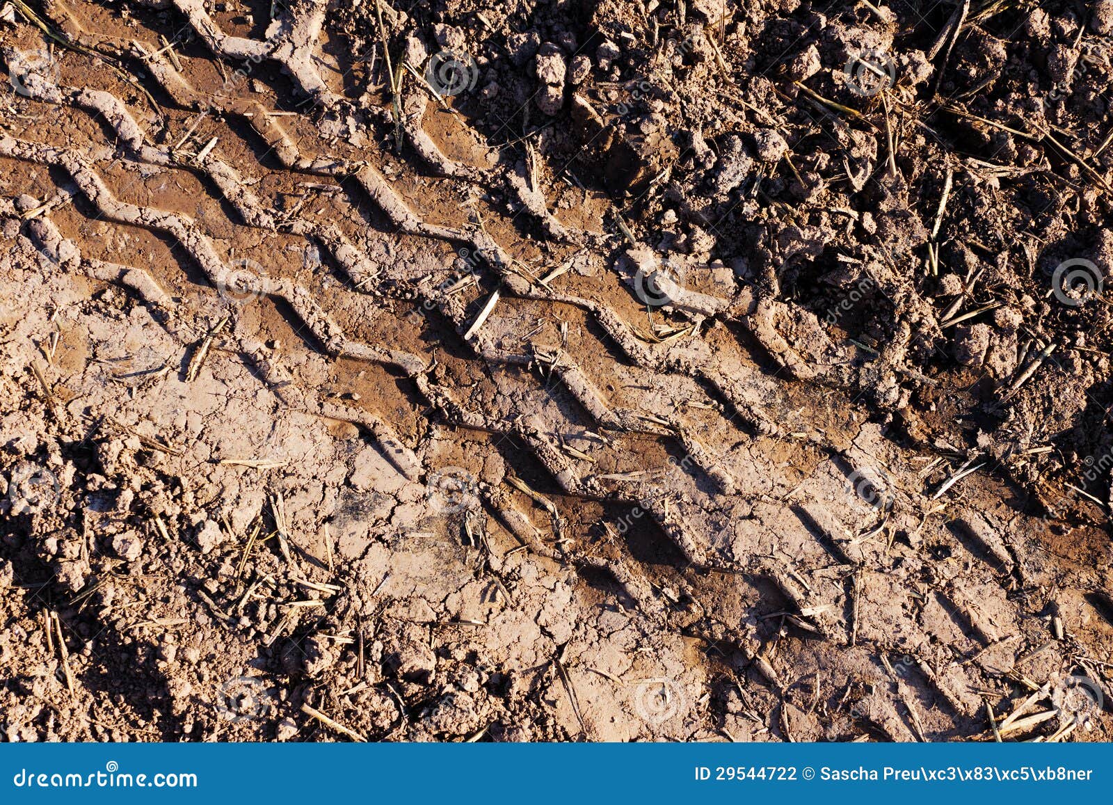 Tracks of a tractor stock photo. Image of texture, earth - 29544722