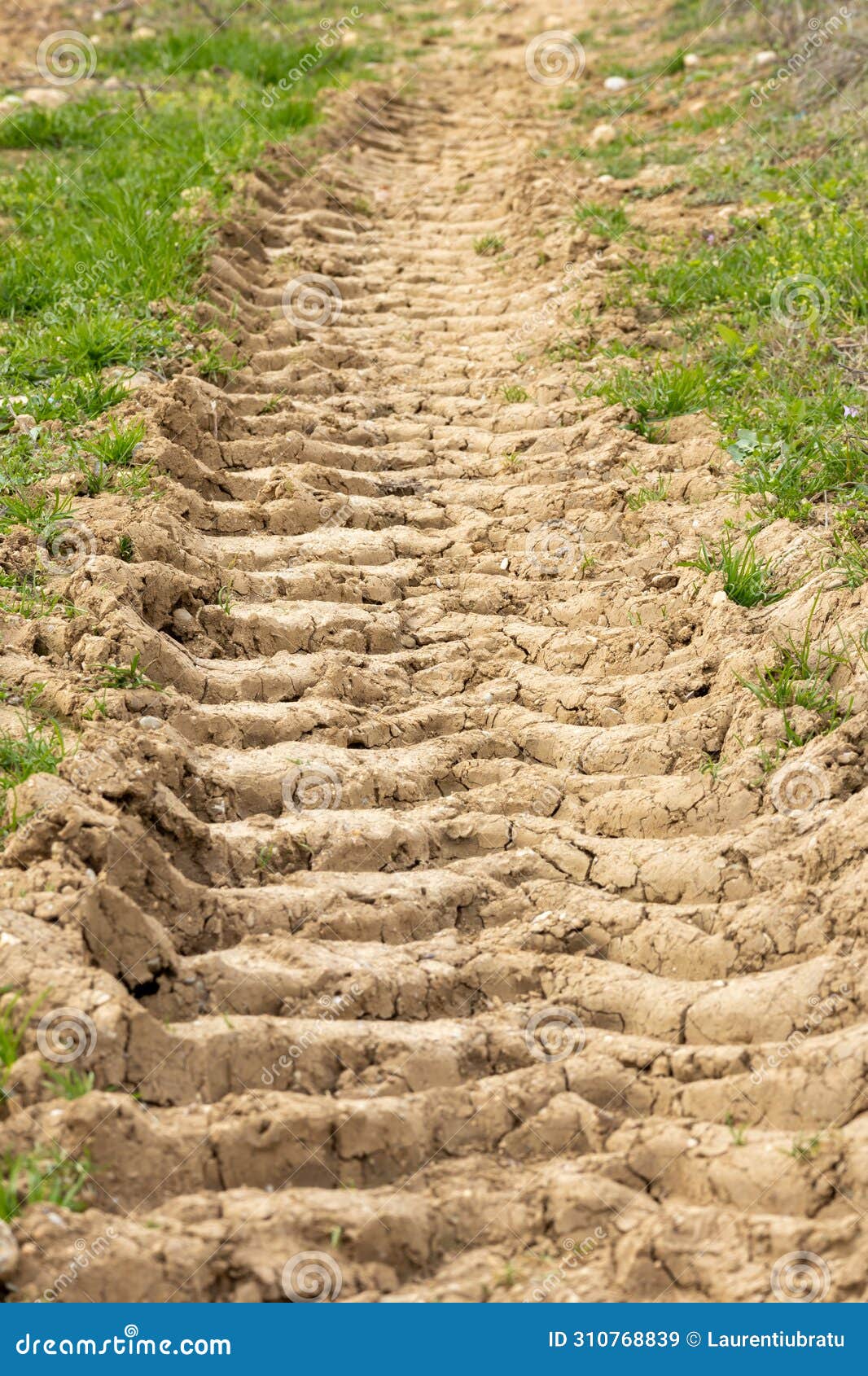 Tracks of a Tractor in the Ground on a Dry Meadow Stock Image - Image ...