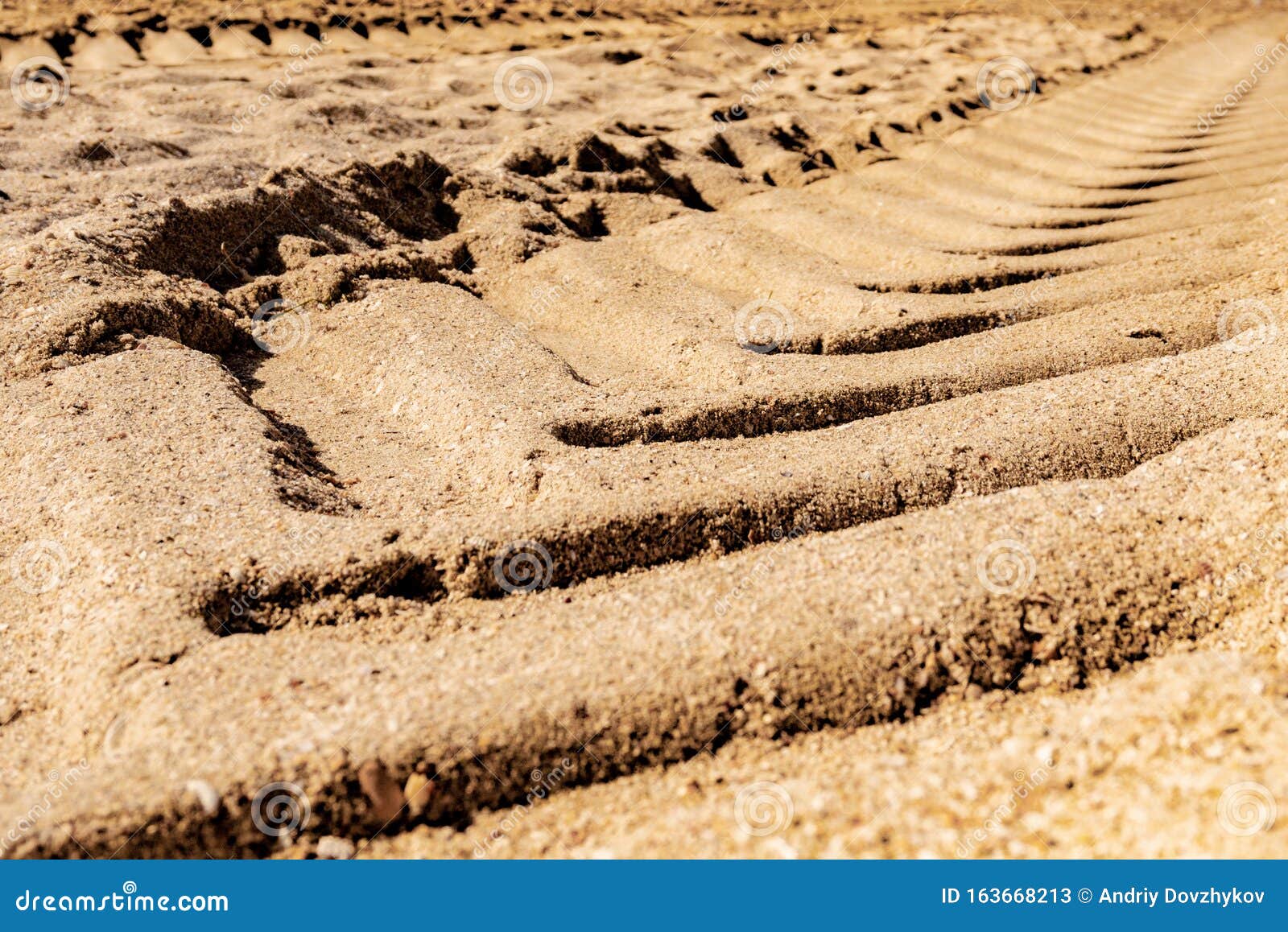 Tracks from a Tractor on the Sea Sand on the Beach Stock Image - Image ...