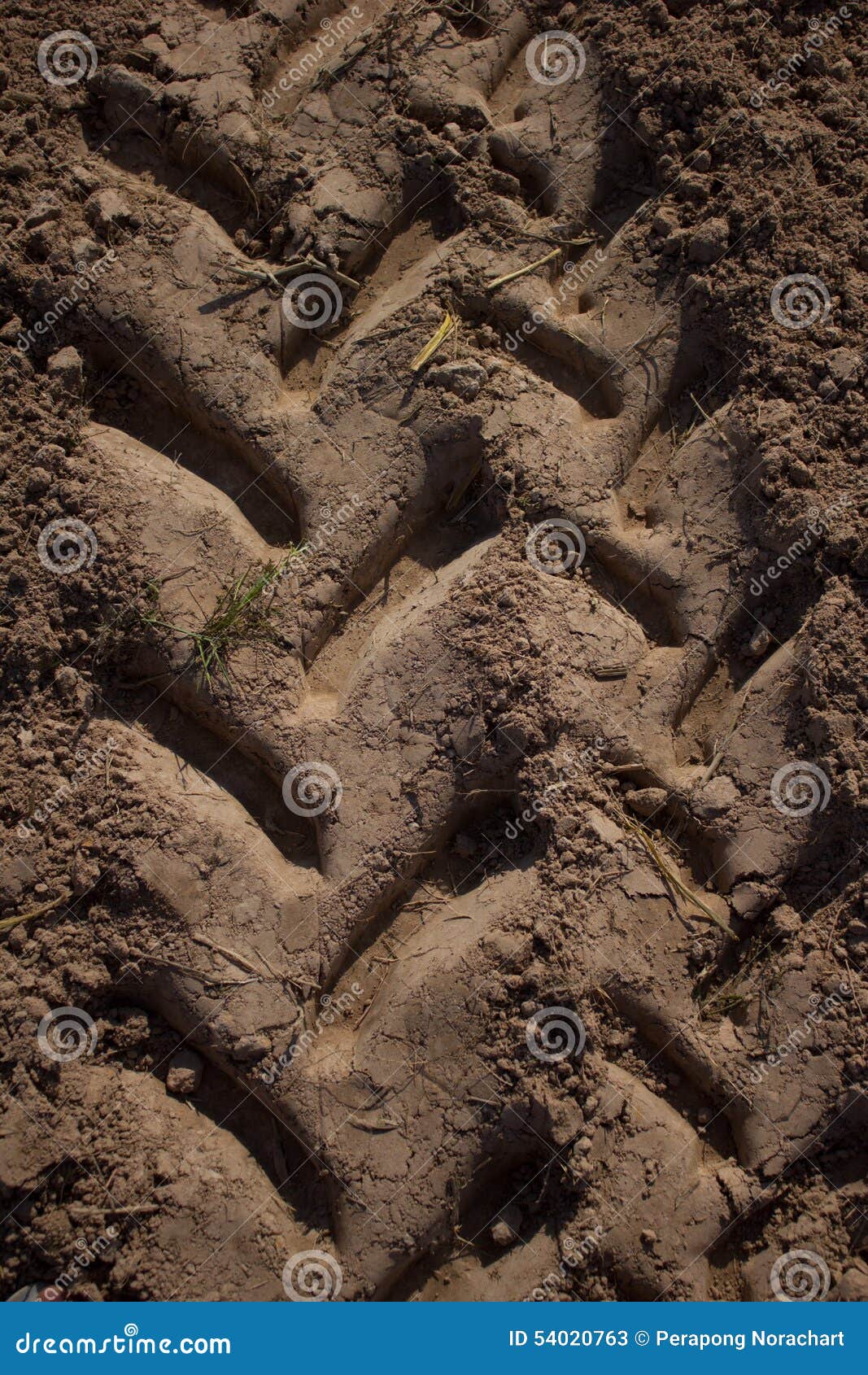 Tracks of tractor stock image. Image of outdoors, tracing - 54020763