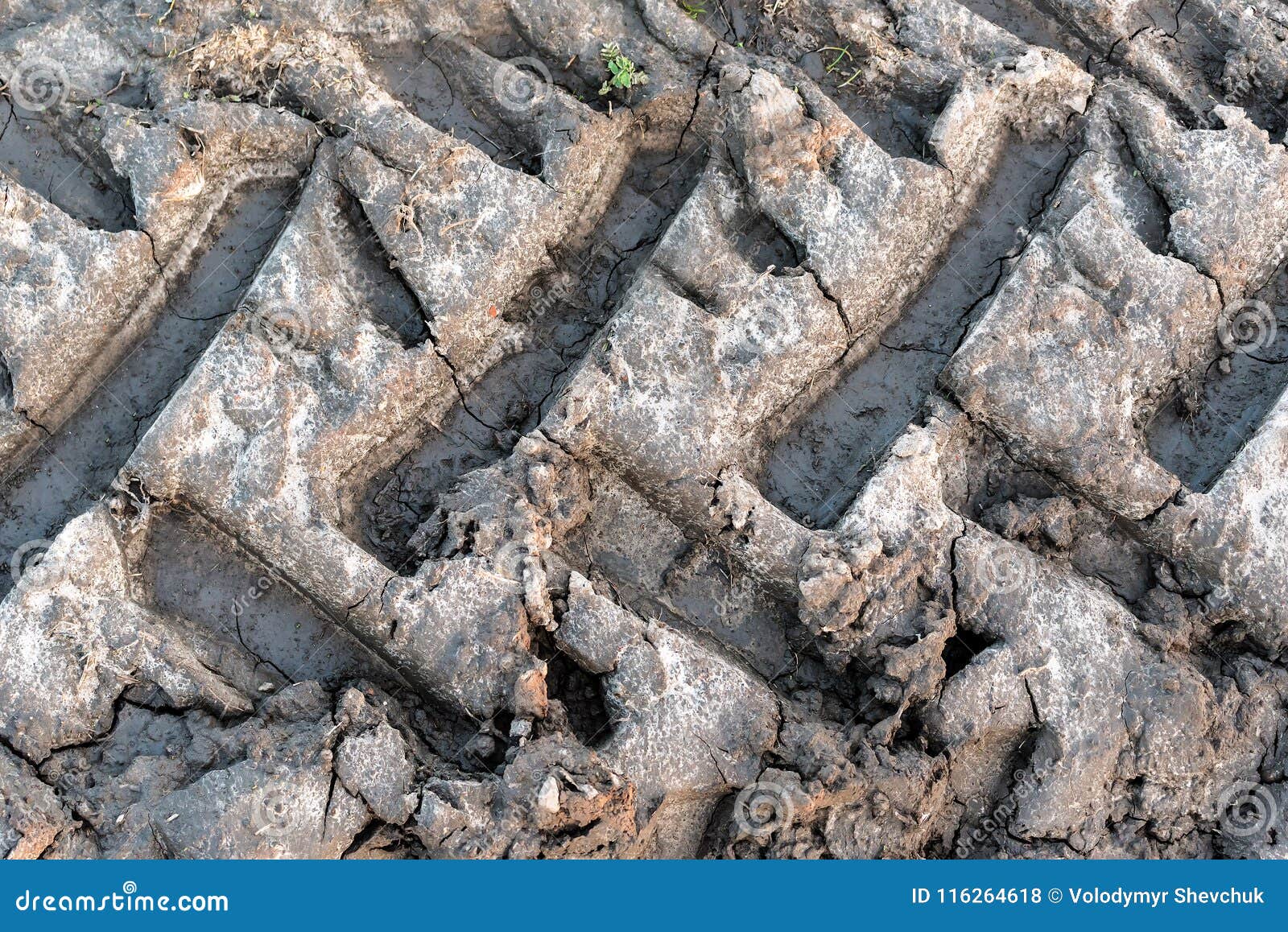 Tracks of tractor wheels stock photo. Image of terrain - 116264618