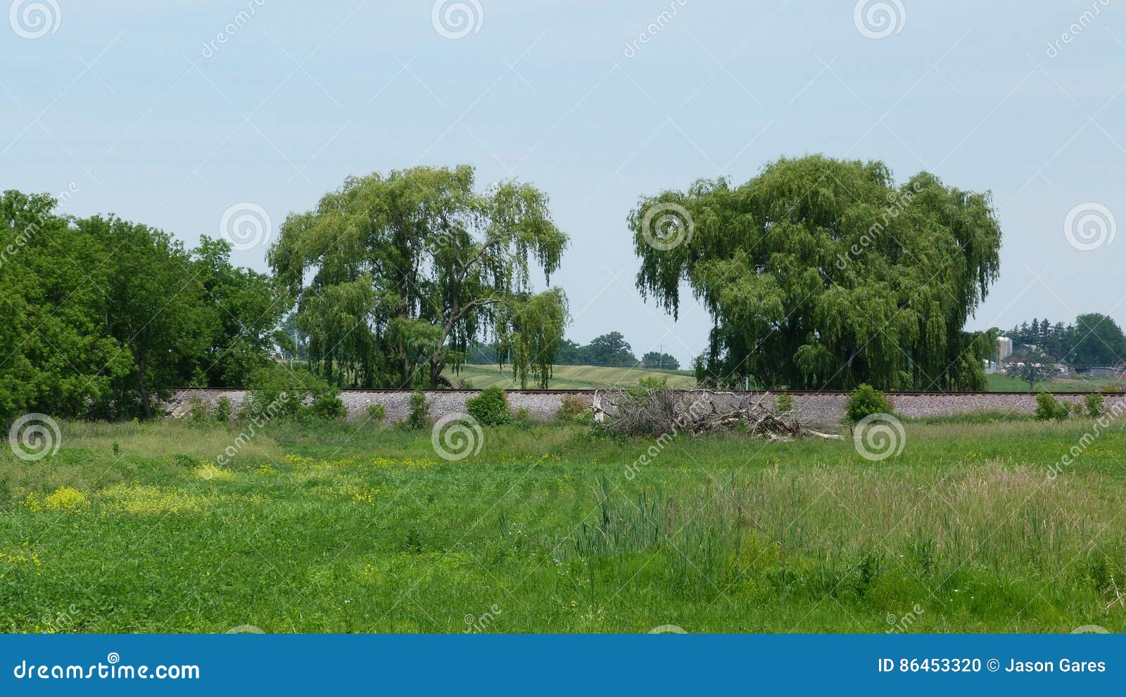 Tracks and Trees stock photo. Image of beautiful, edge - 86453320