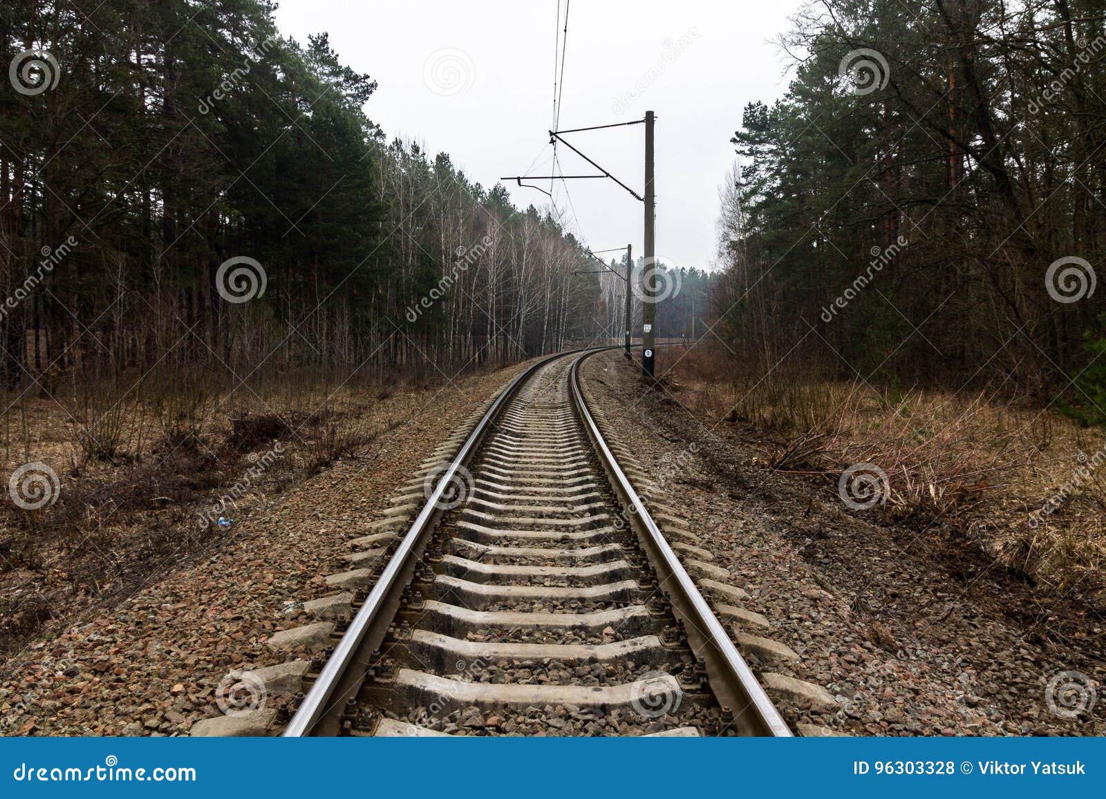 Tracks Turn Right. Railway Track In The Forest. Way Into Forest. Stock ...