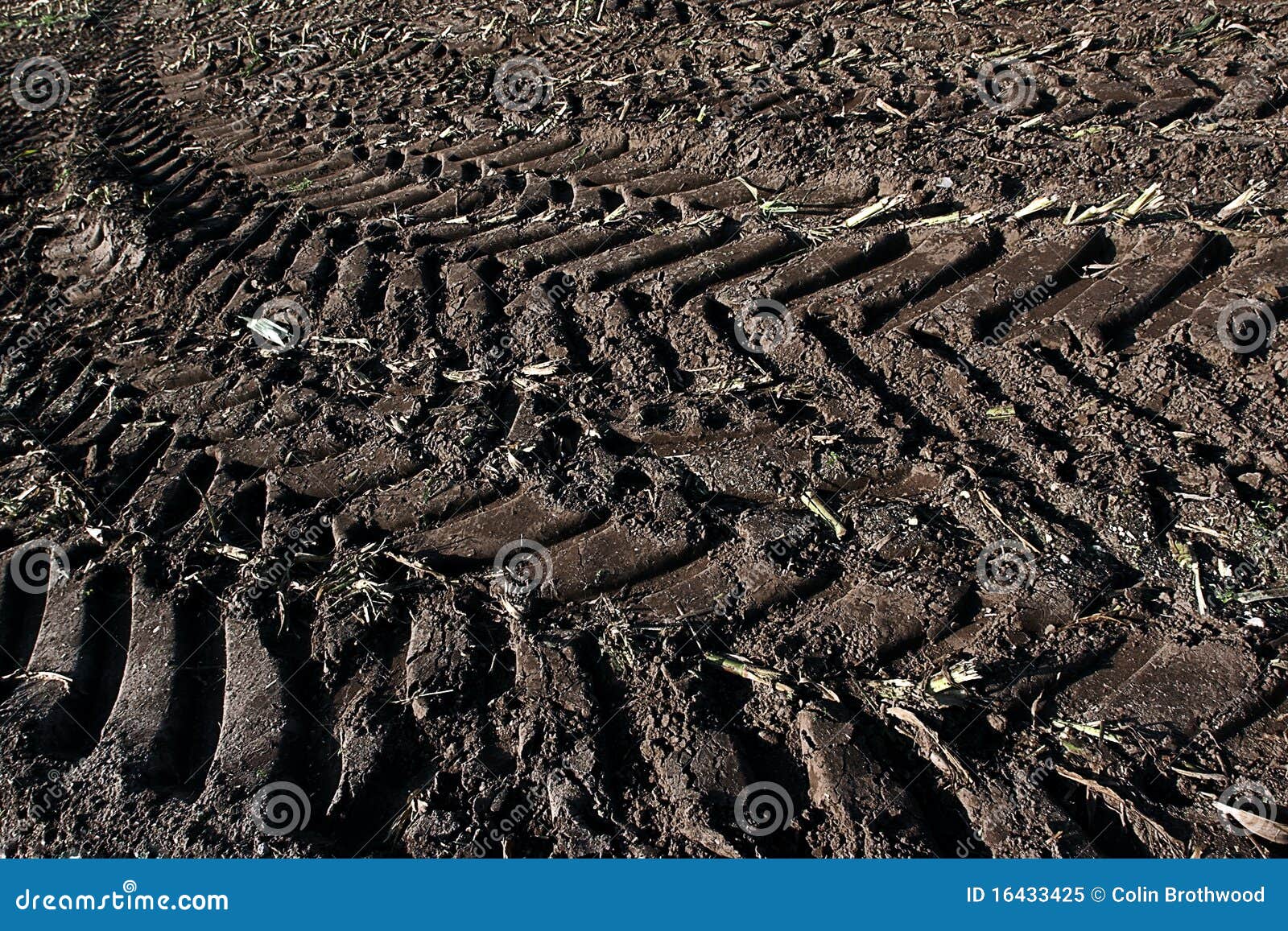 Tracktor Marks stock image. Image of soil, harvest, tracks - 16433425