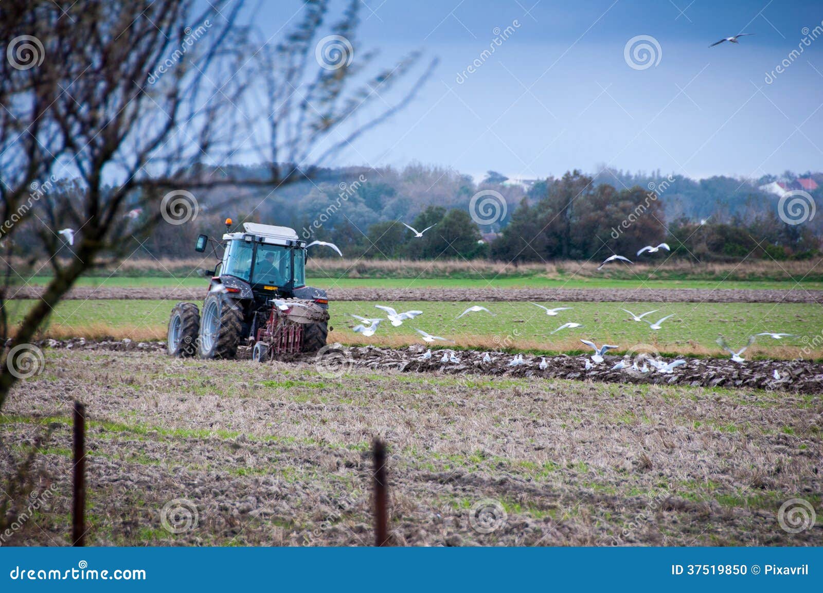 Tracteur Labourant Un Champ Photo stock - Image du affermage, nuage ...
