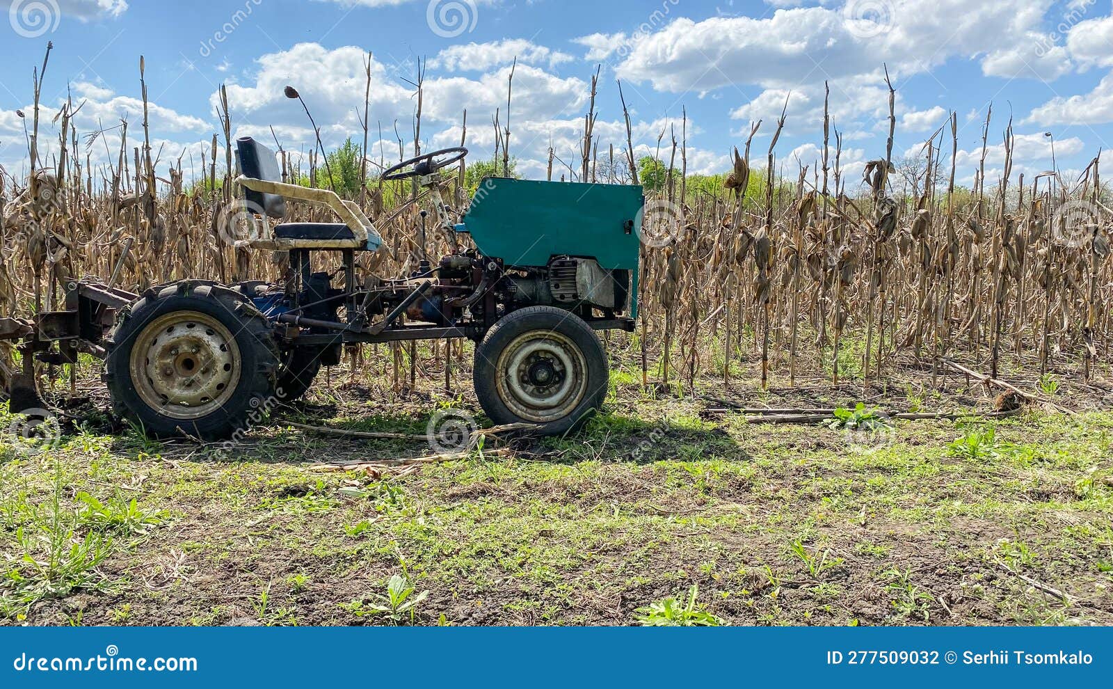 Tractor, Against the Backdrop of a Corn Field Stock Photo - Image of ...