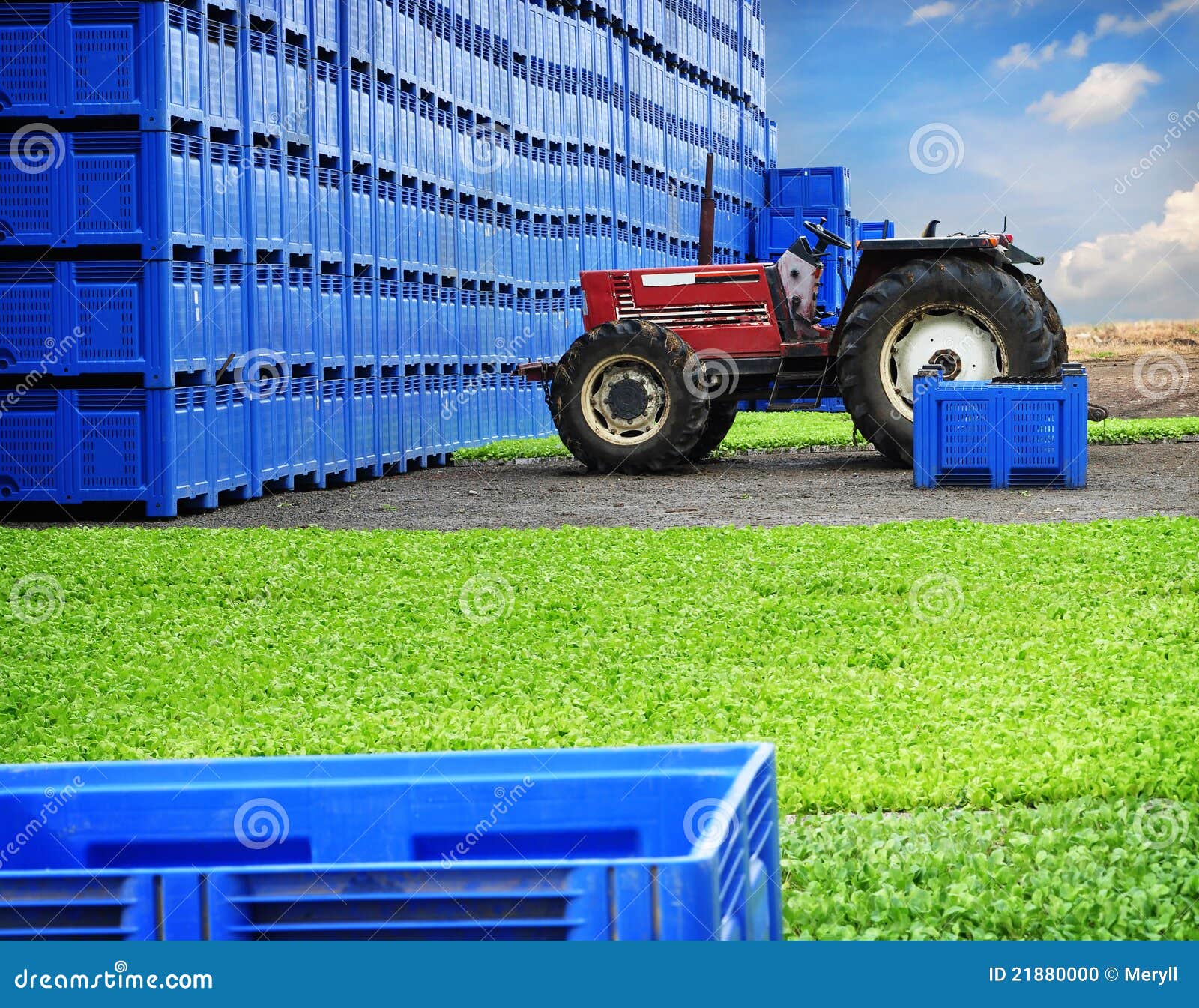 Tractor agriculture farm stock photo. Image of nature - 21880000