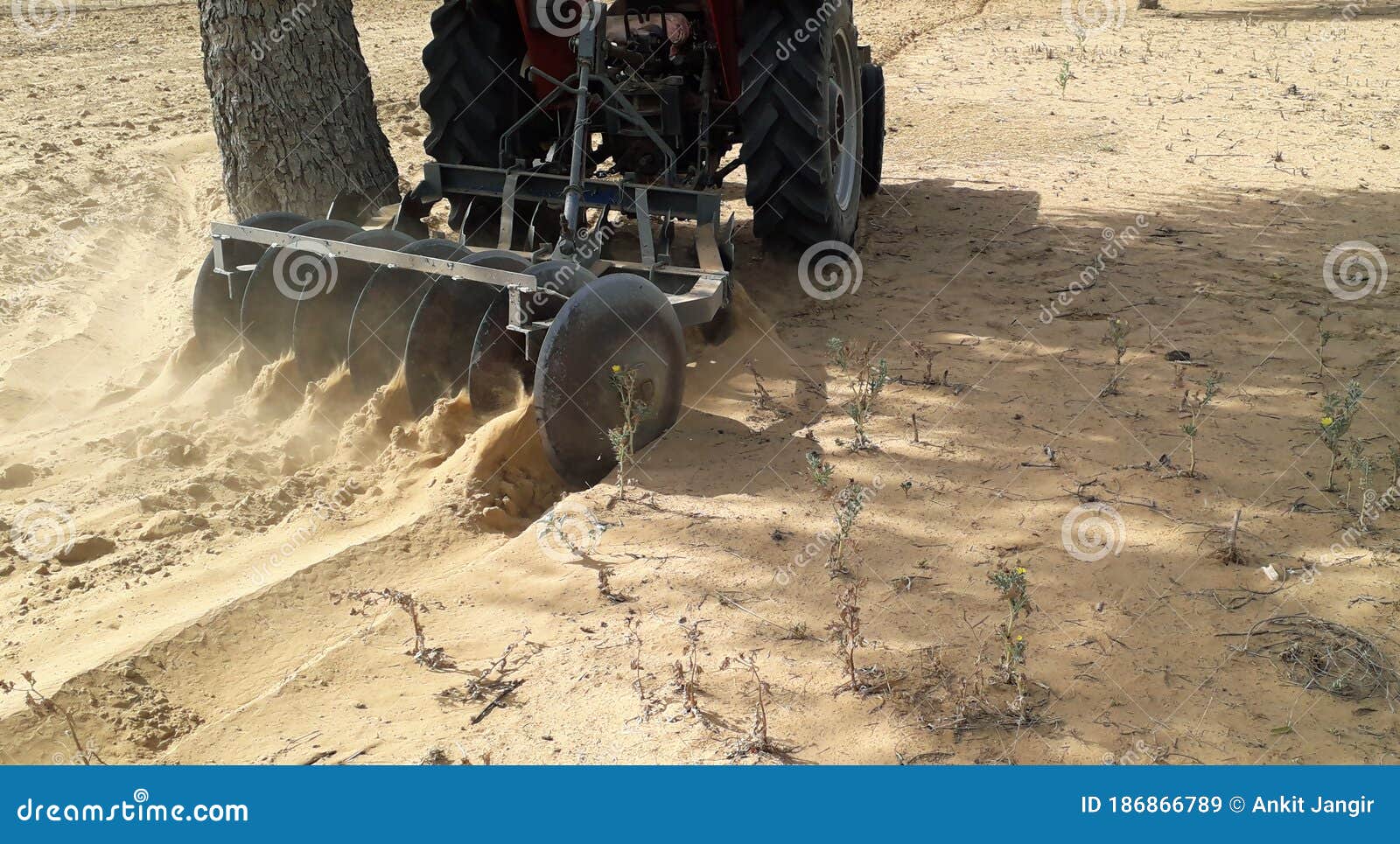 Tractor with Agriculture Tool Preparing the Soil for Plowing Stock ...