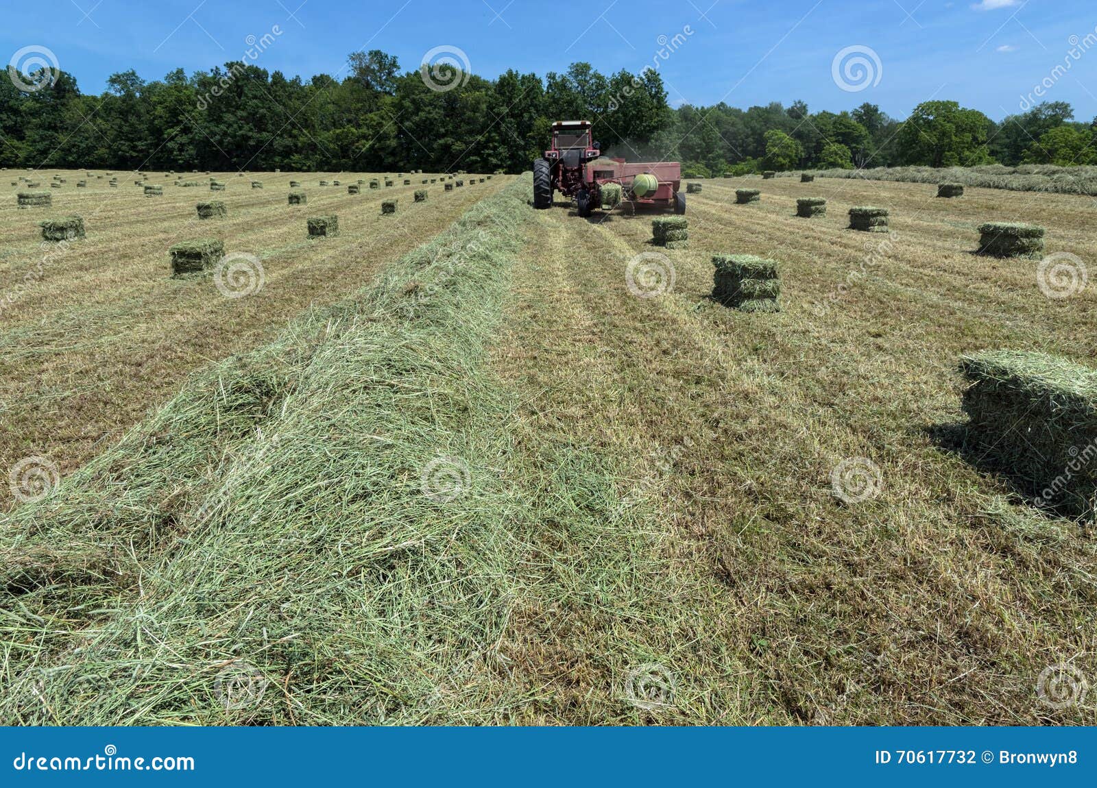 Tractor Baling in Summer Field Stock Photo - Image of rectangles ...