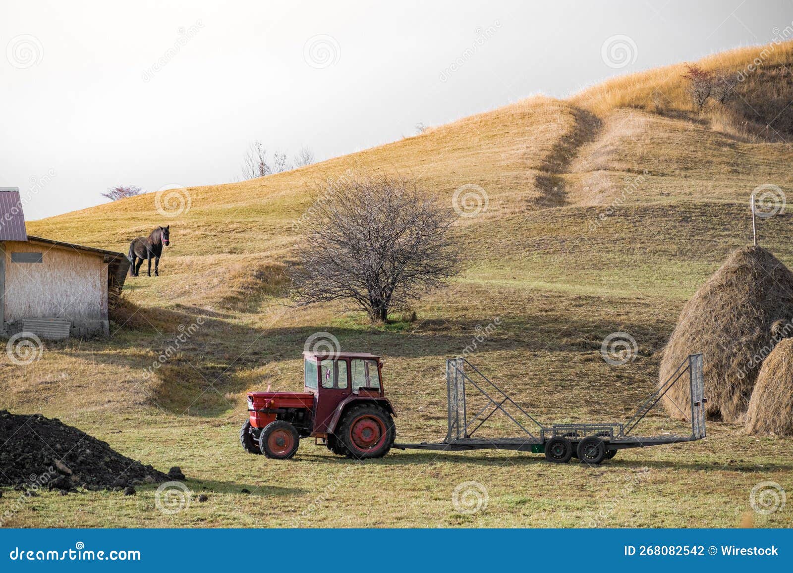 Tractor and a Barn with Stacked Hay in a Rural Field Stock Photo ...