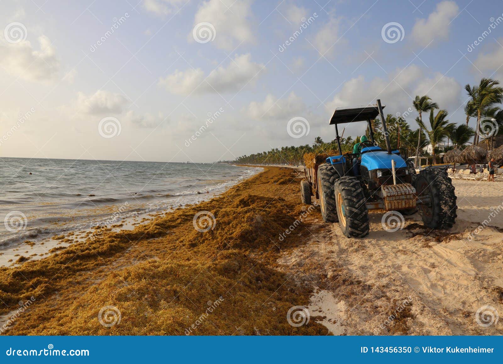 Tractor at Beach in the Dominican Republic of Caribbean Stock Photo ...