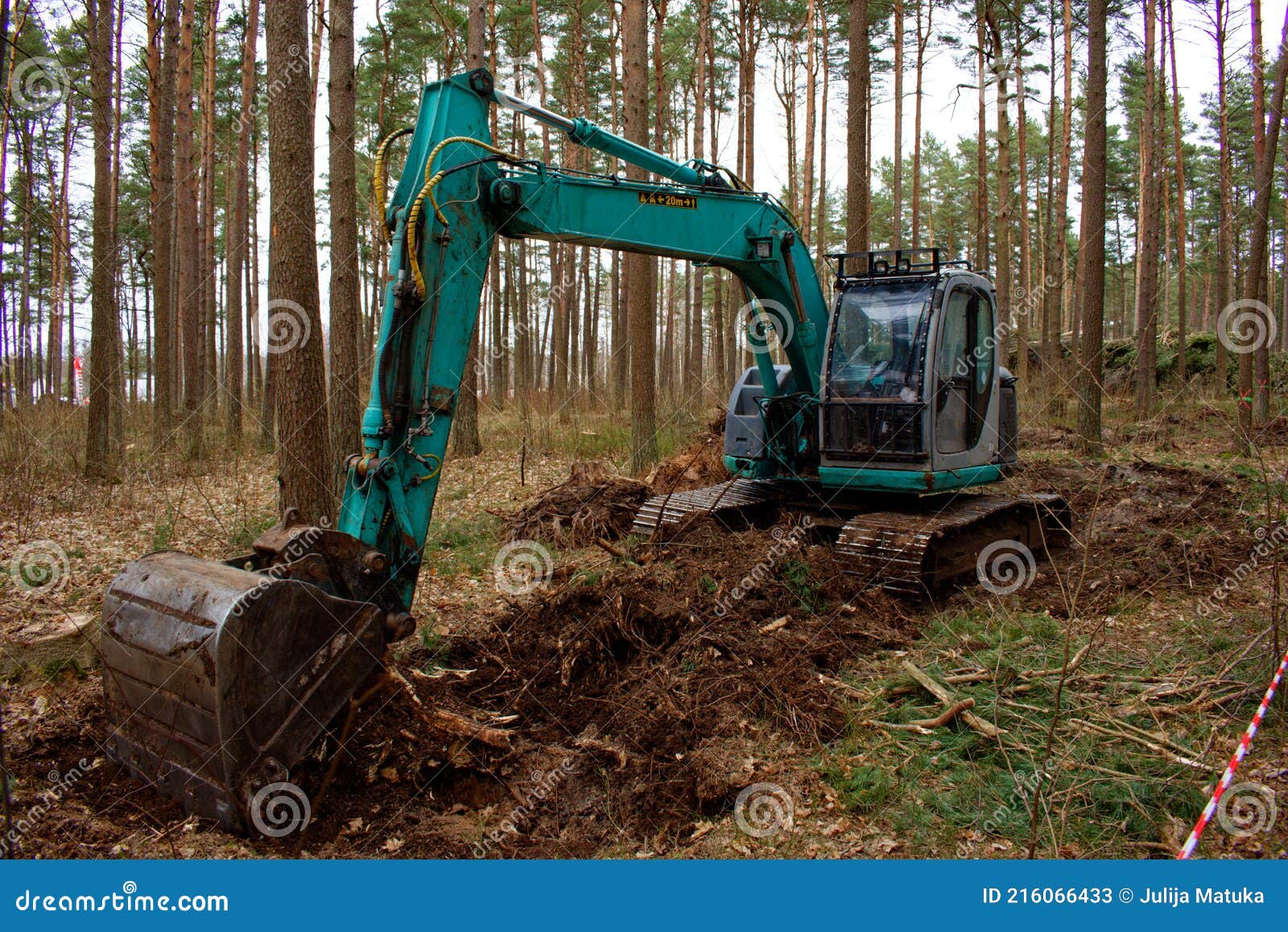 Tractor with a Bucket in the Forest. the Concept of Cutting Down Trees ...