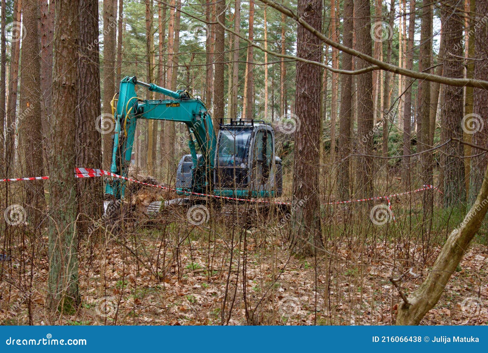 Tractor with a Bucket in the Forest. the Concept of Cutting Down Trees ...