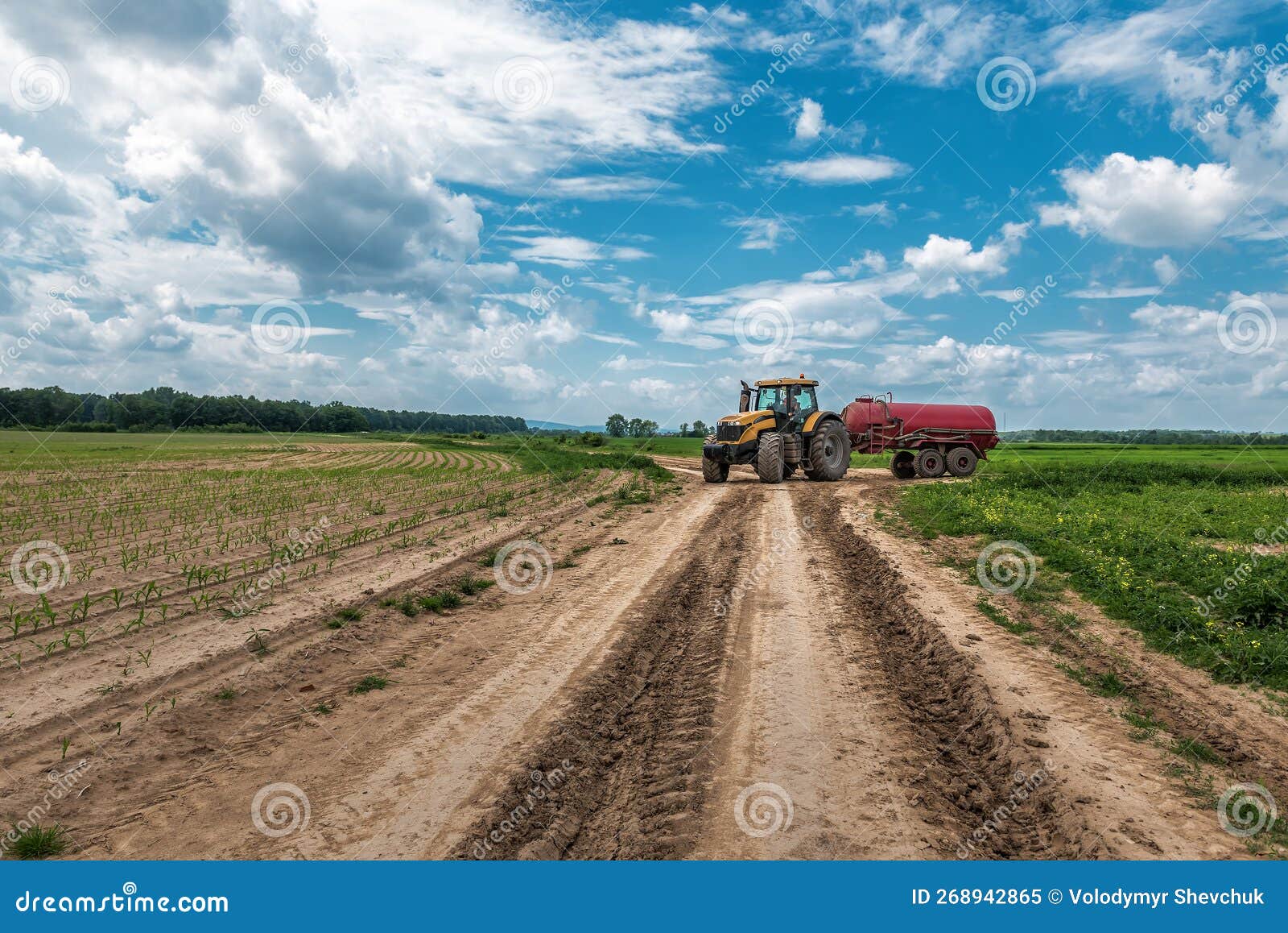Tractor Carries a Barrel of Herbicides on the Corn Field Stock Image ...
