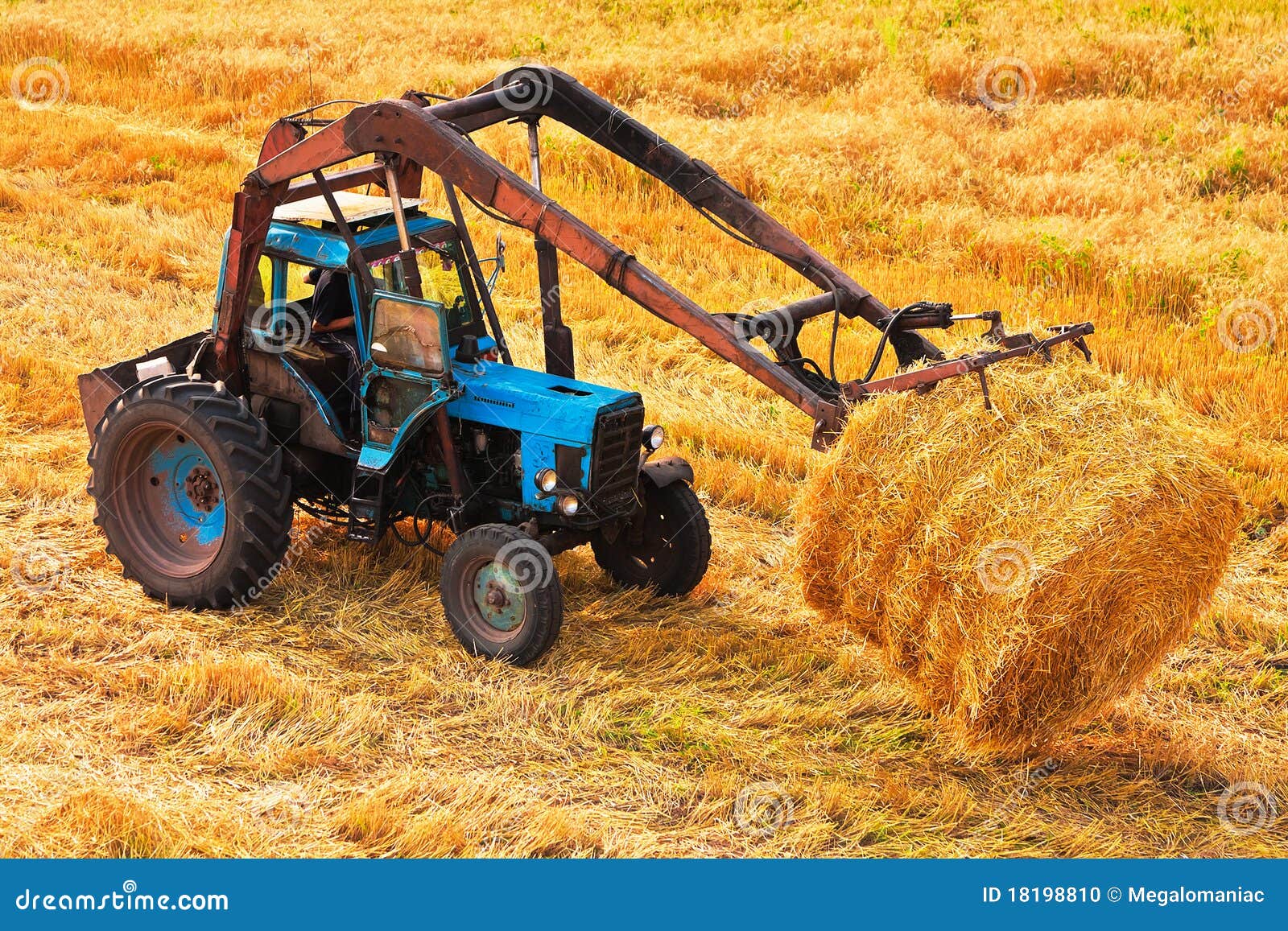 Tractor Carrying Hay at Field Stock Photo - Image of feed, machinery ...