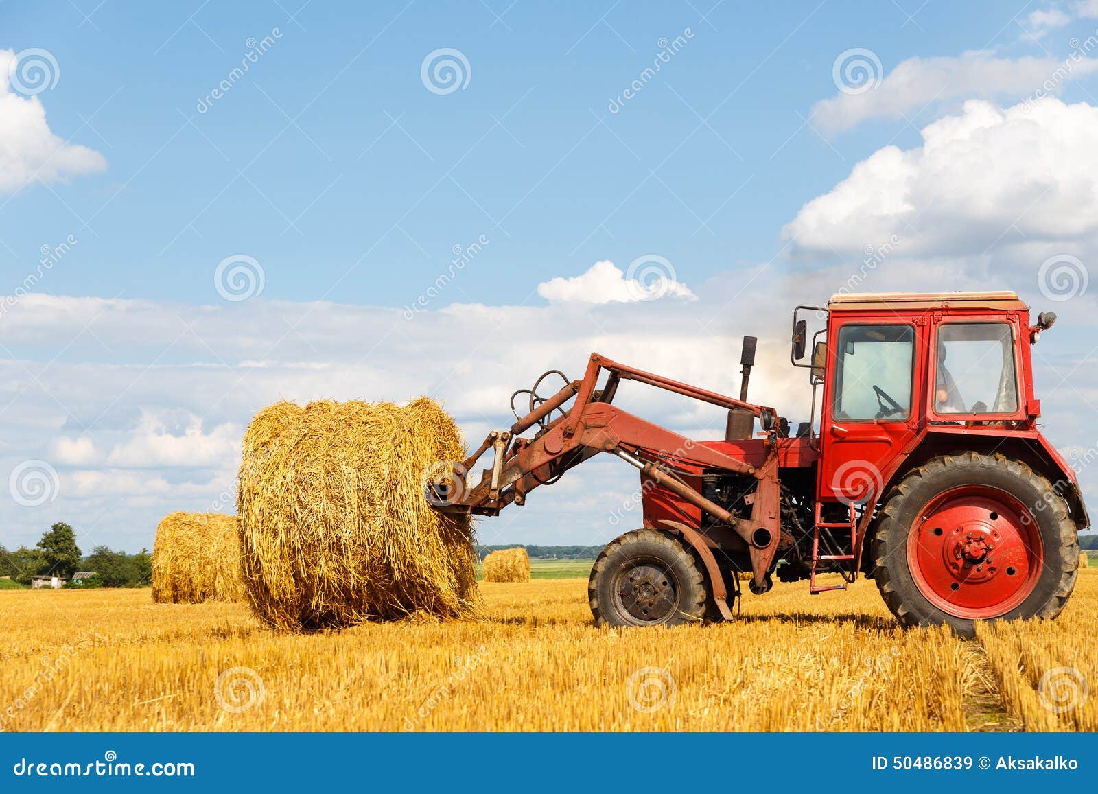 Tractor carrying hay stock image. Image of farm, harvesting - 50486839