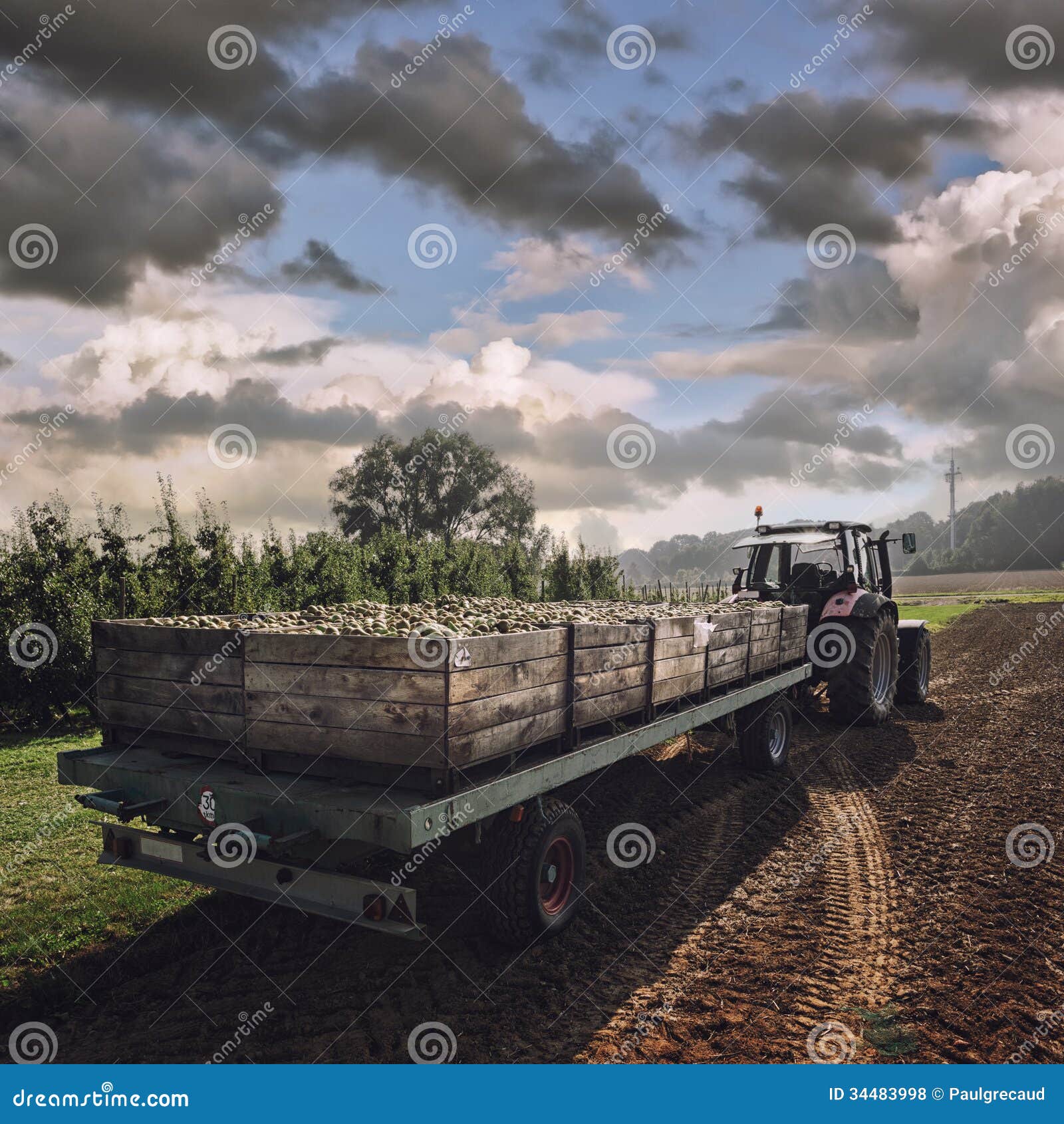 Tractor Carrying Wooden Crates with Pears Stock Photo - Image of market ... Tractor Carrying Wooden Crates with Pears Stock Photo - Image of market ...