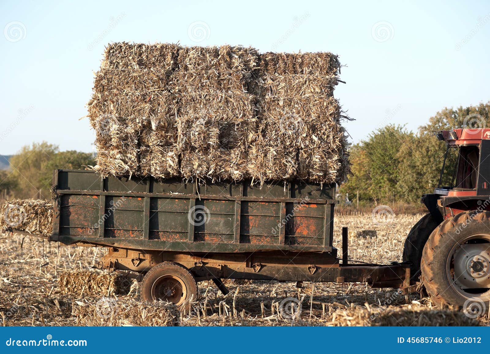 Tractor Collecting Haystack Stock Photo - Image of nature, corn: 45685746