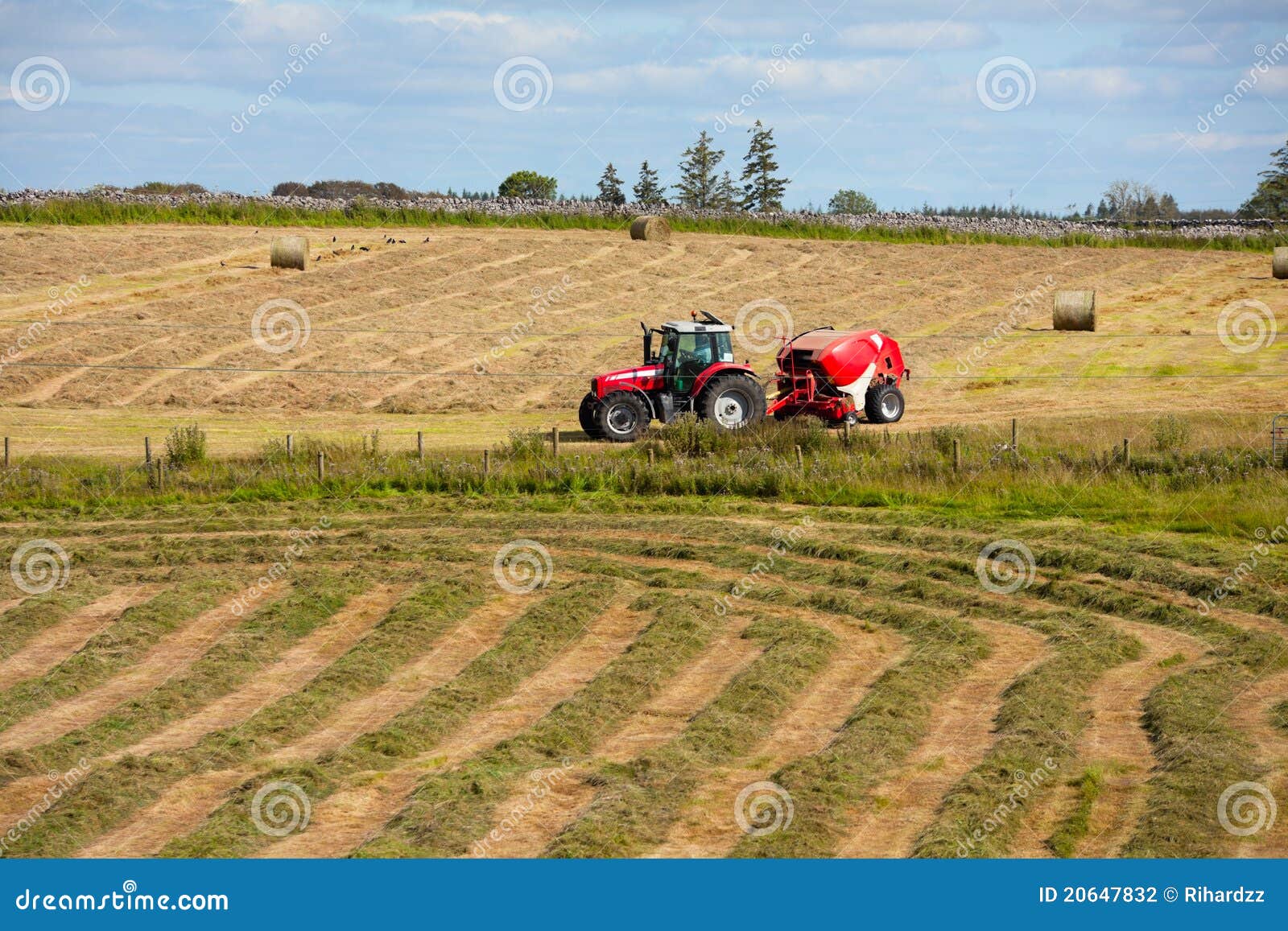 Tractor Collecting Haystack in the Field Stock Photo - Image of ...