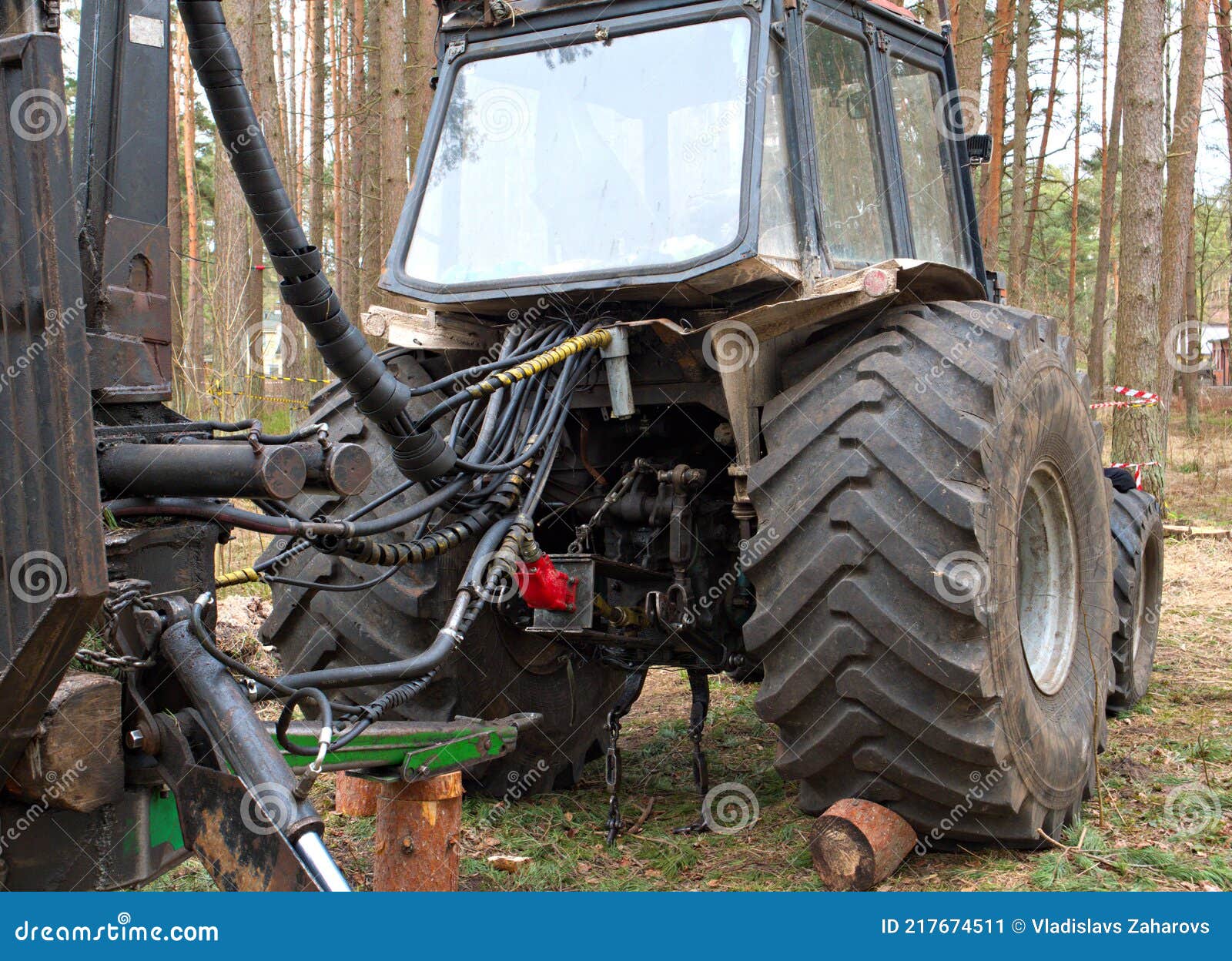A Tractor that Collects Felled Trees Stands in Front, a Tree Cutting ...