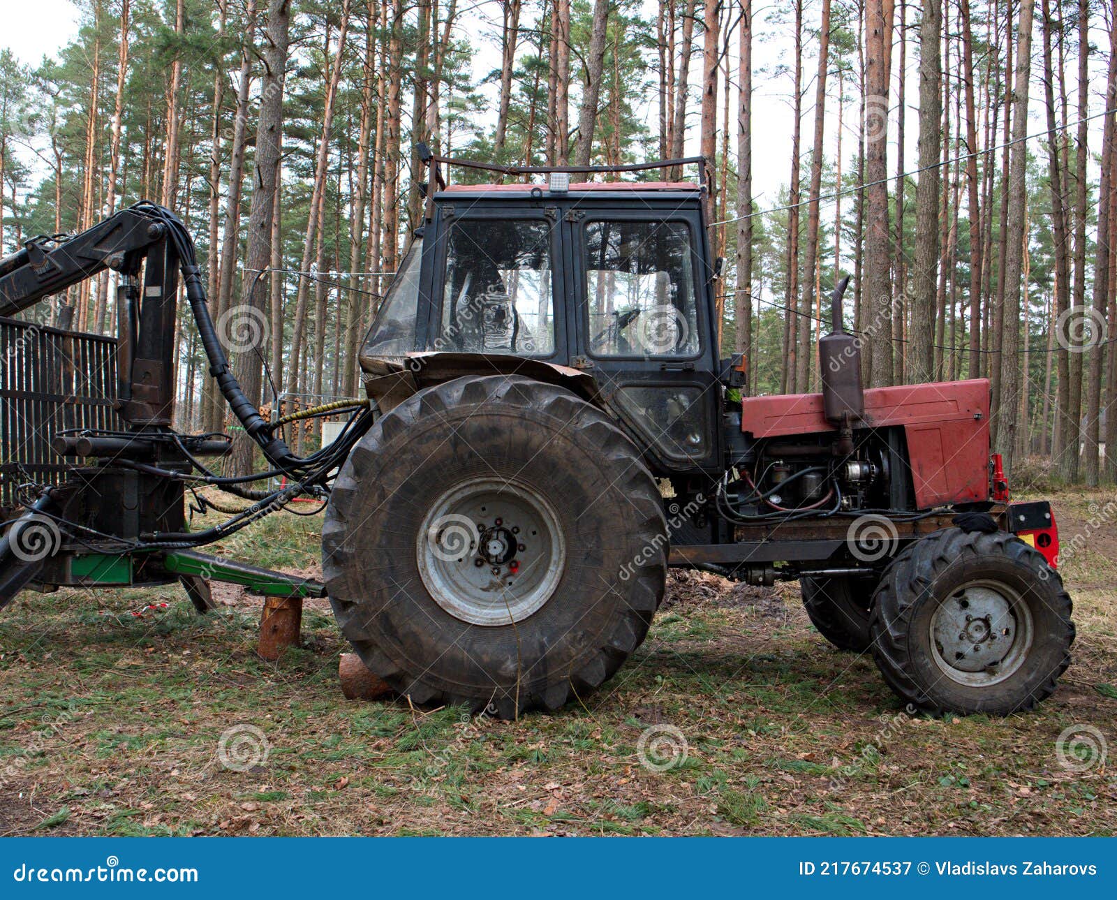 Tractor that Collects Felled Trees Stands Sideways, Tree Cutting ...