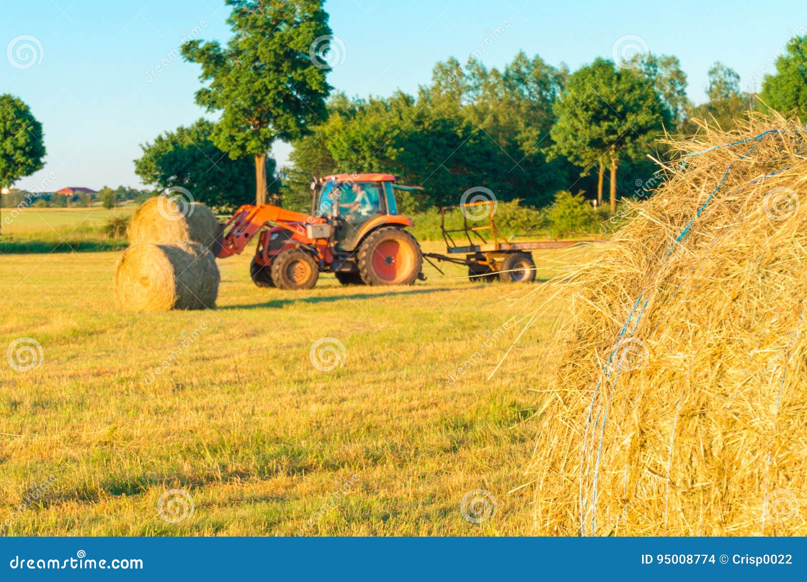 The tractor collects hay stock photo. Image of grass - 95008774