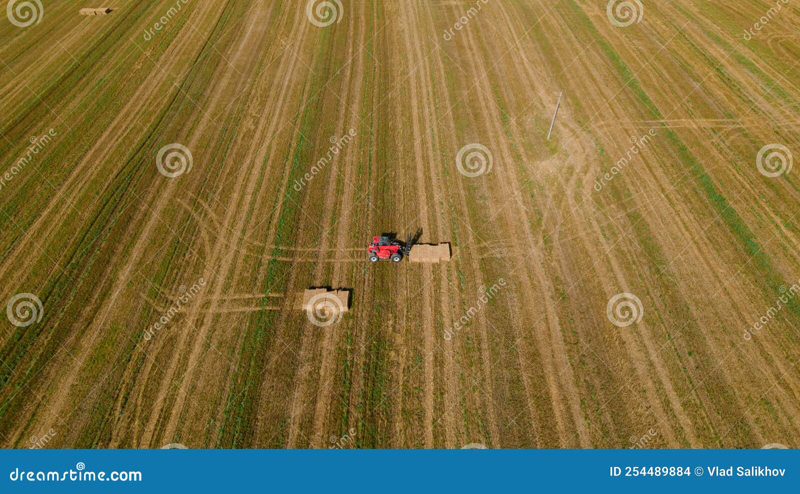 Tractor Collects Pressed Bricks of Hay. Briquettes with Hay. Editorial ...