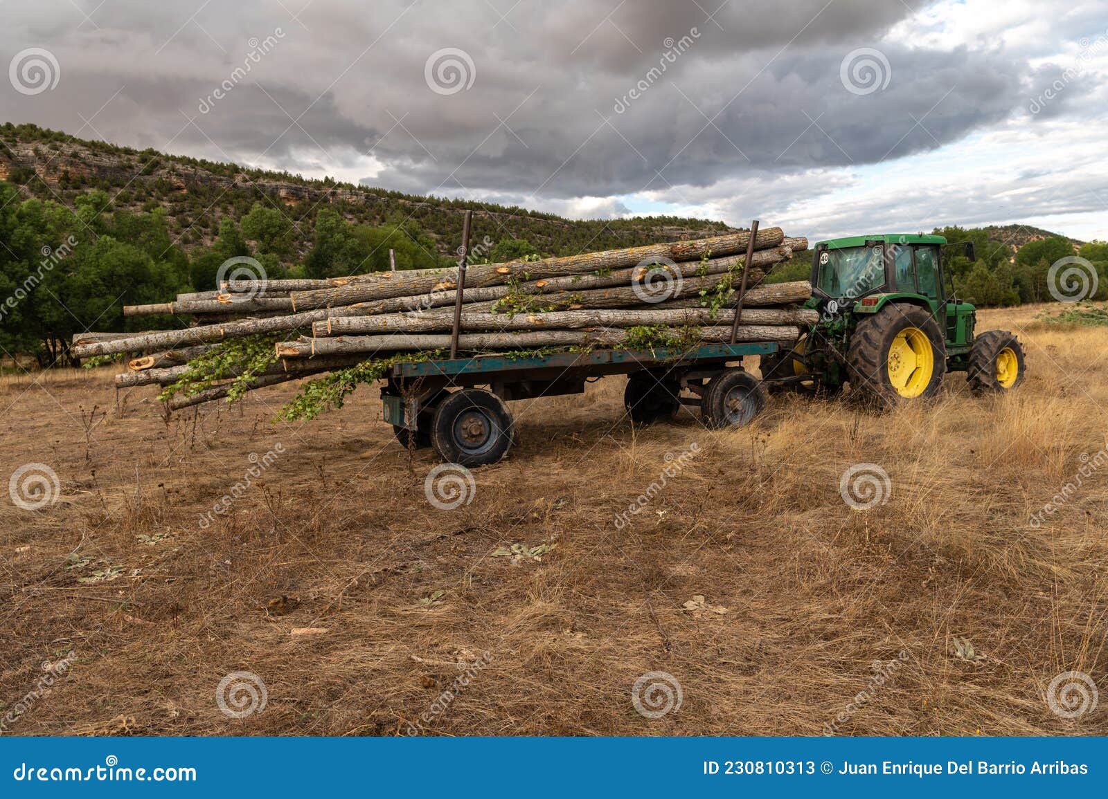 Tractor Con Remolque Para El Transporte De Madera Foto de archivo ...