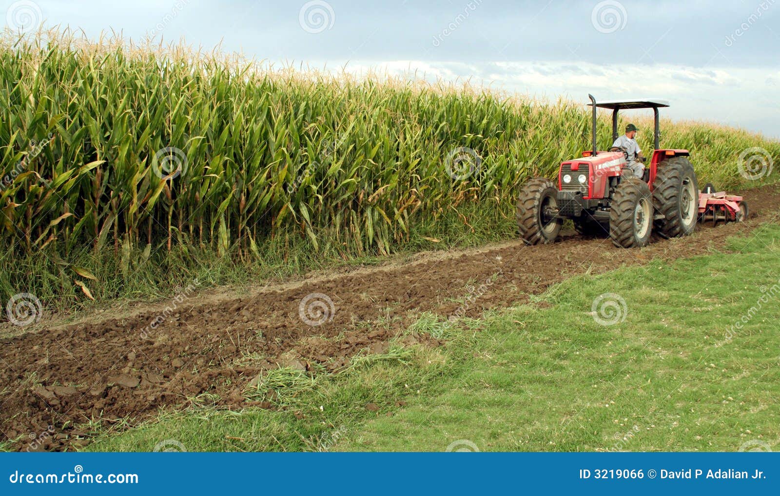 Tractor With Corn (Maize) Royalty Free Stock Image - Image: 3219066
