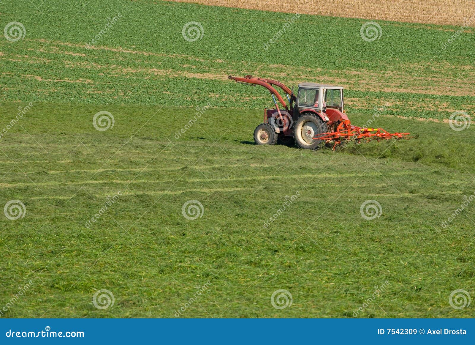Tractor in Countryside Field Stock Image - Image of driving ...