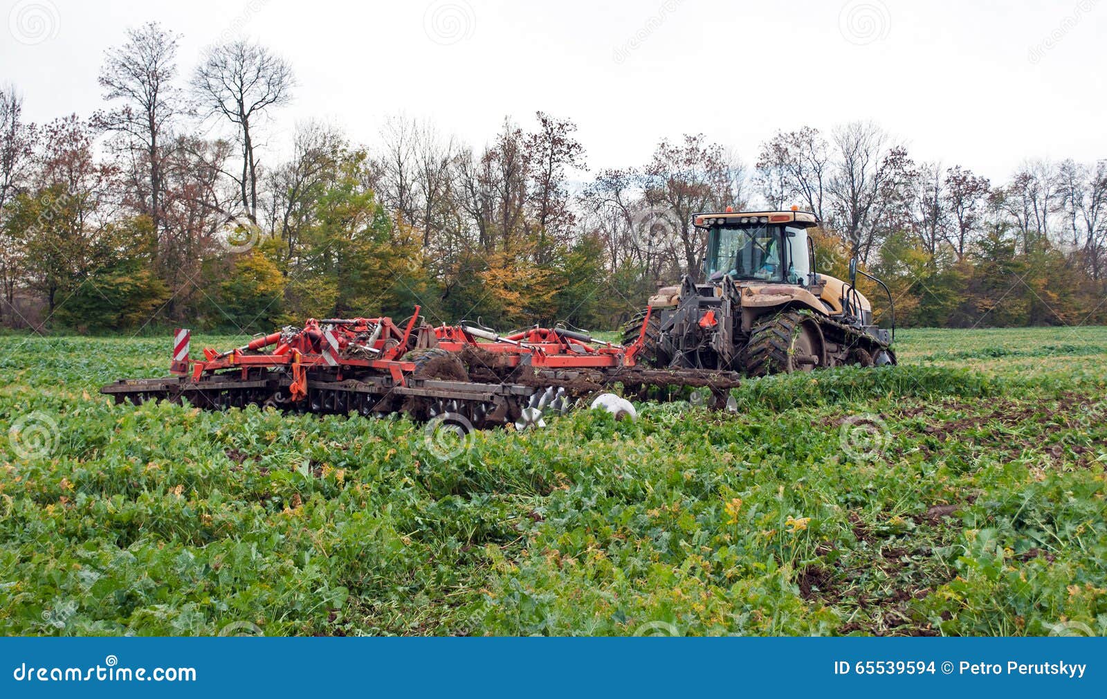 Tractor cultivating stock photo. Image of field, agriculture - 65539594