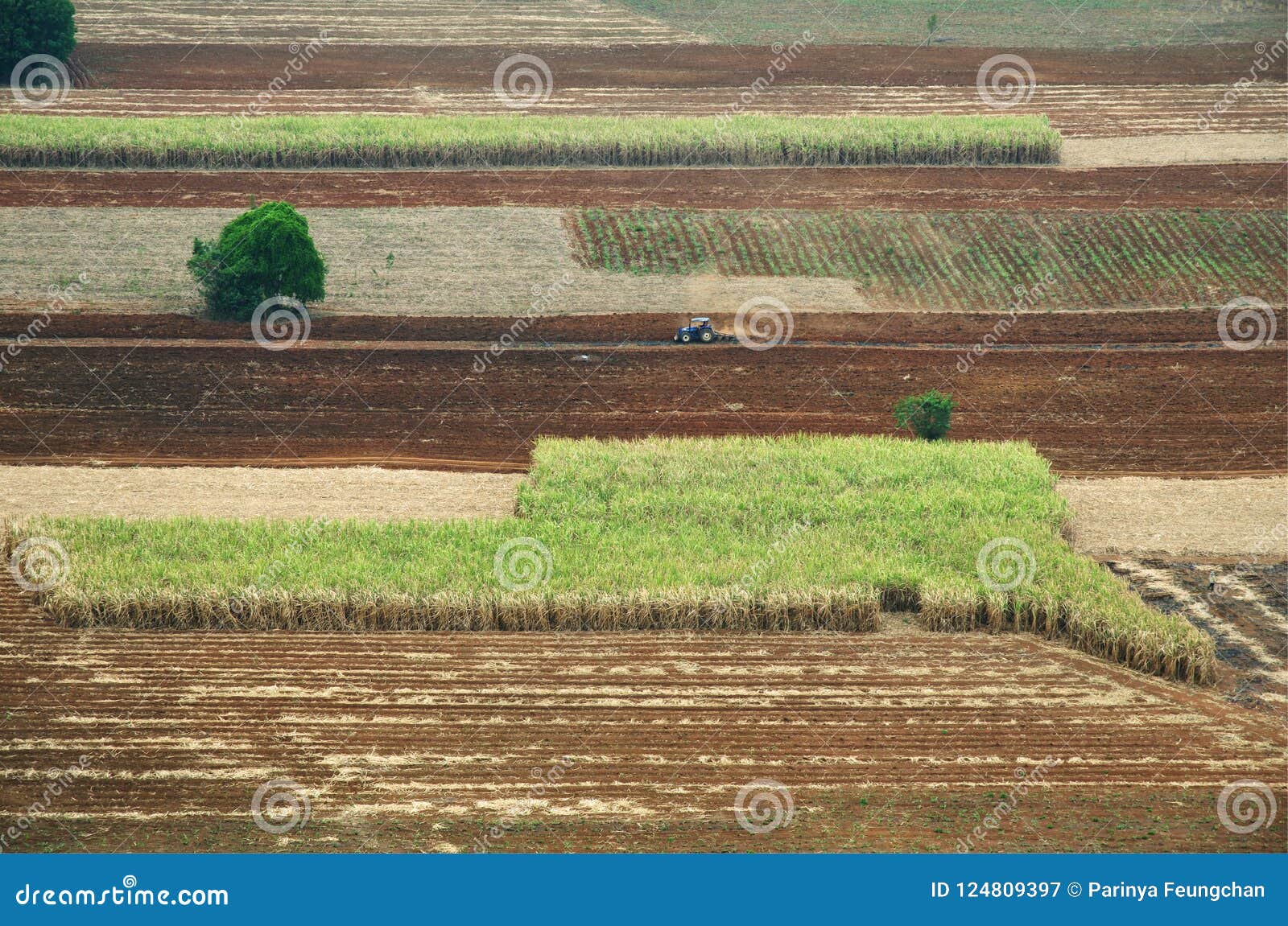 Tractor Cultivating Field : Aerial View Stock Image - Image of agronomy ...