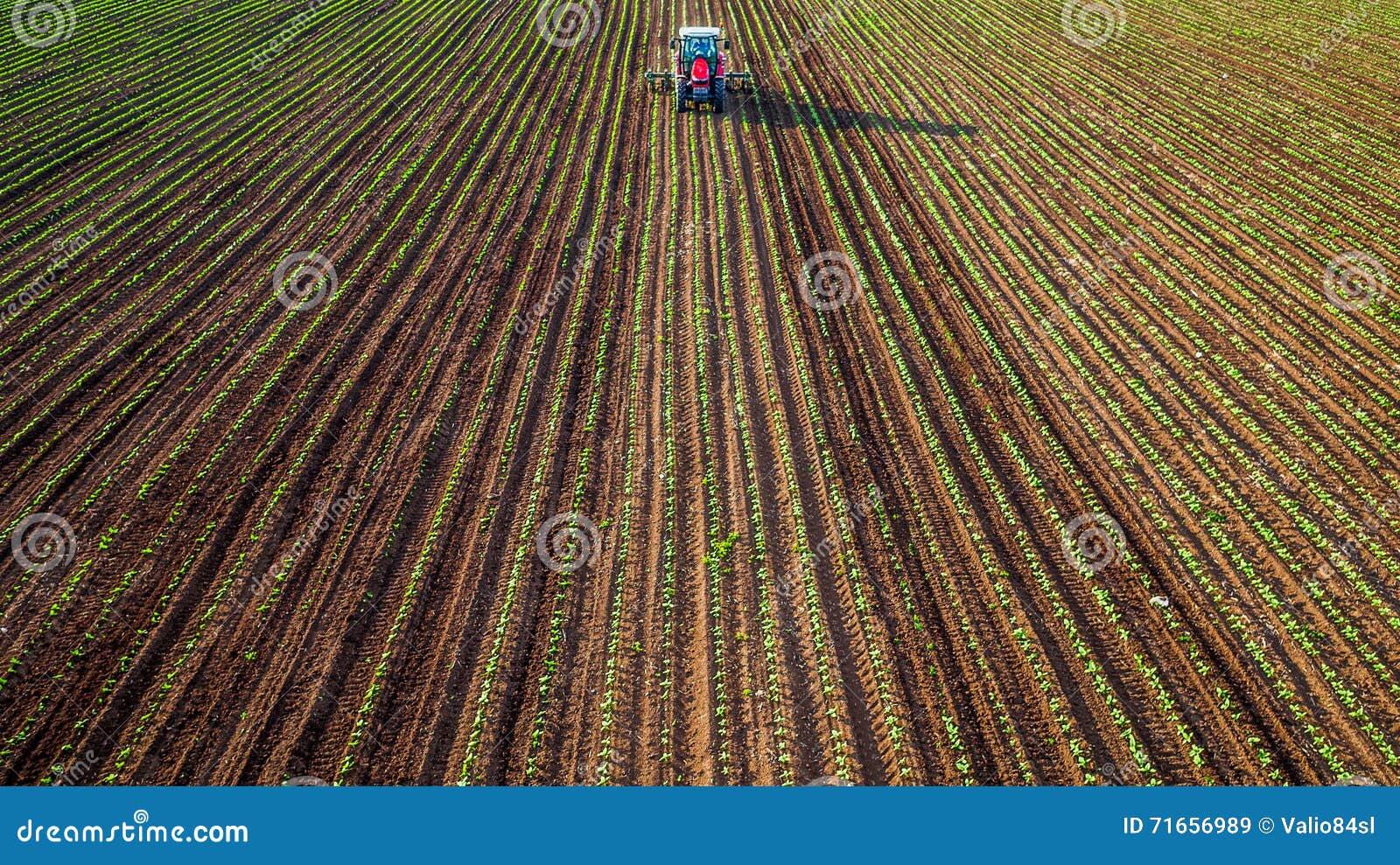 Tractor Cultivating Field at Spring Stock Image - Image of land ...