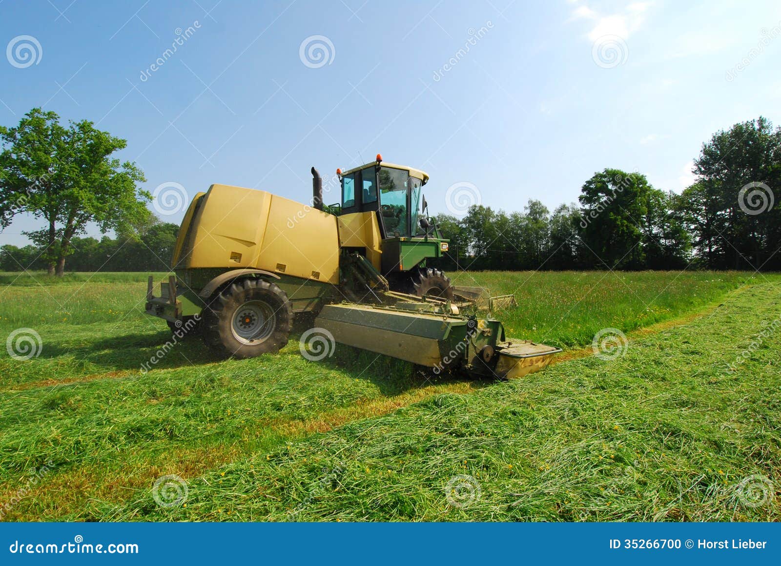 Tractor Cutting Grass Meadow Stock Photo - Image of harvest, silage ...