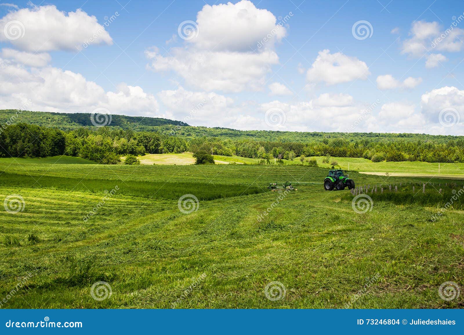 Tractor cutting hay field stock photo. Image of rural - 73246804