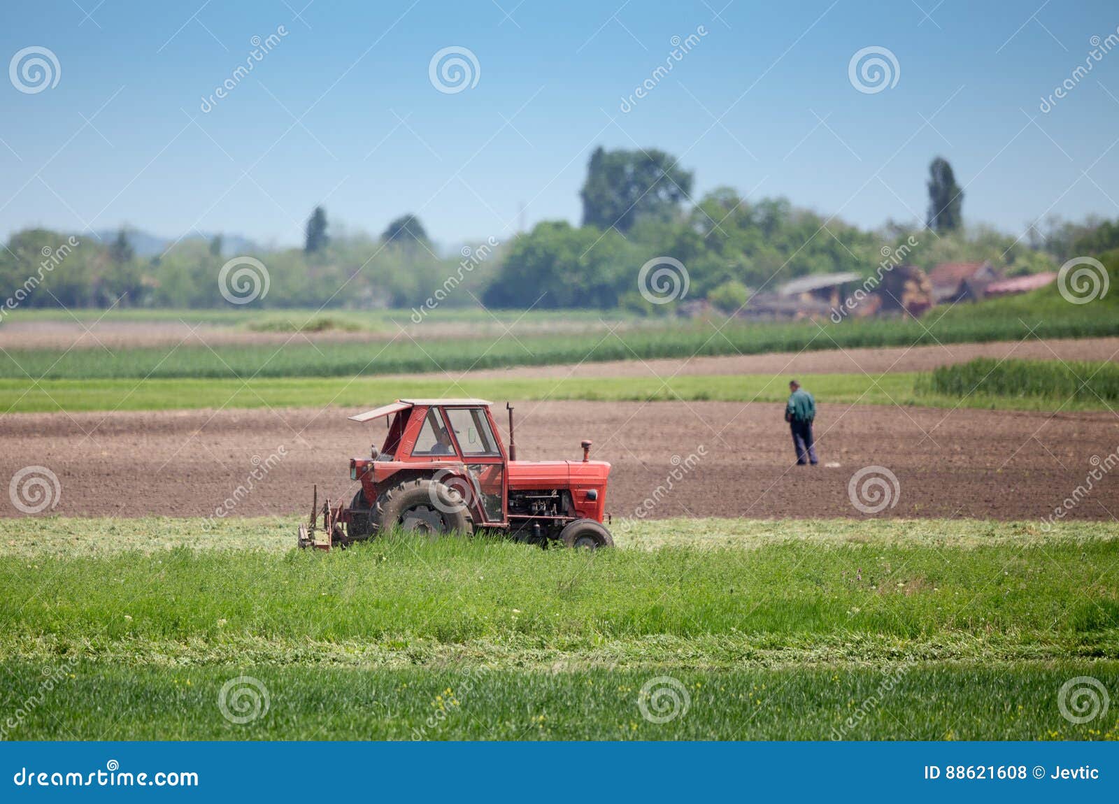 Tractor cutting lucerne stock photo. Image of grass, outdoor - 88621608