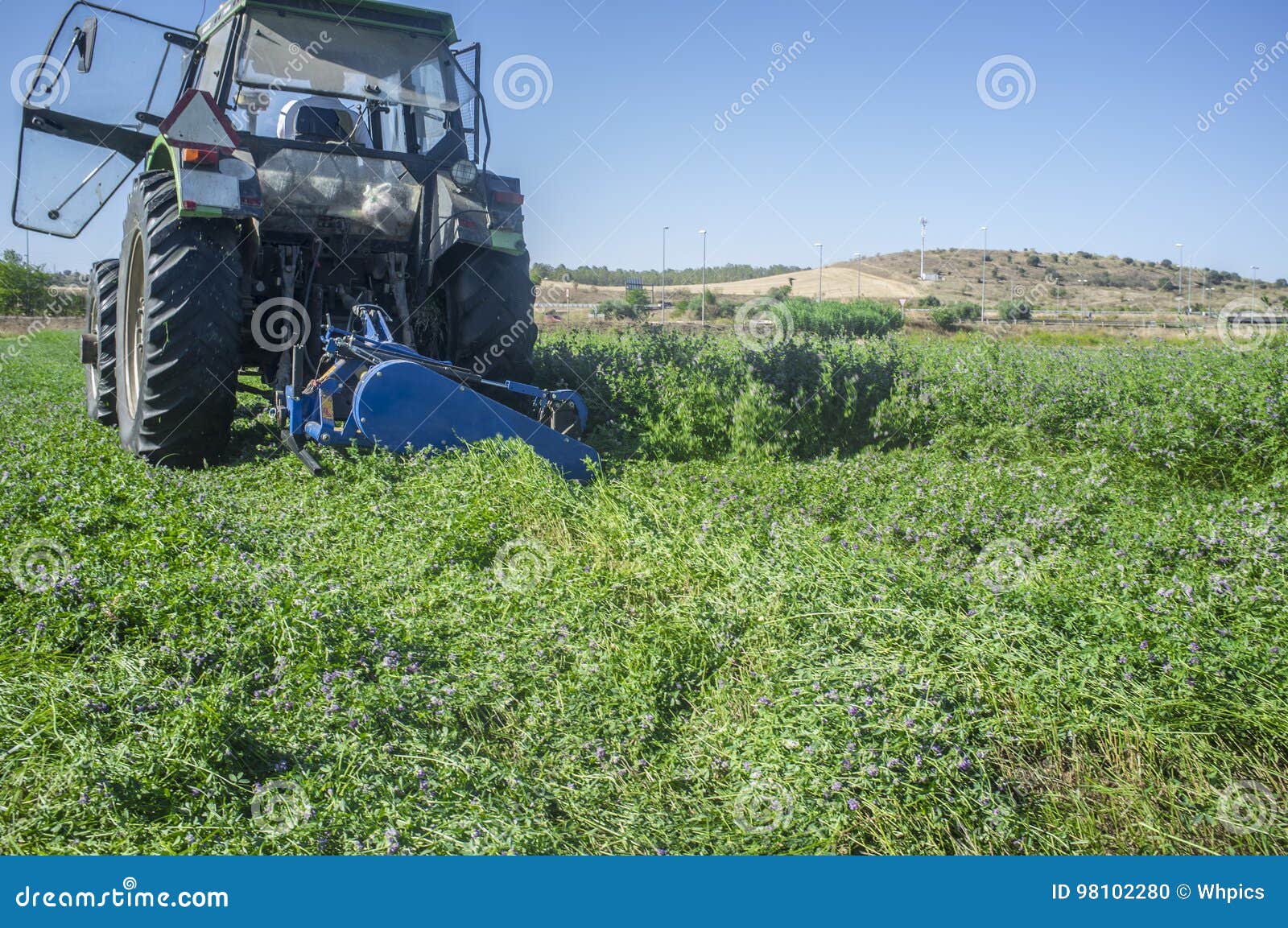 Tractor Cutting and Swathing Alfalfa Stock Photo - Image of lucerne ...