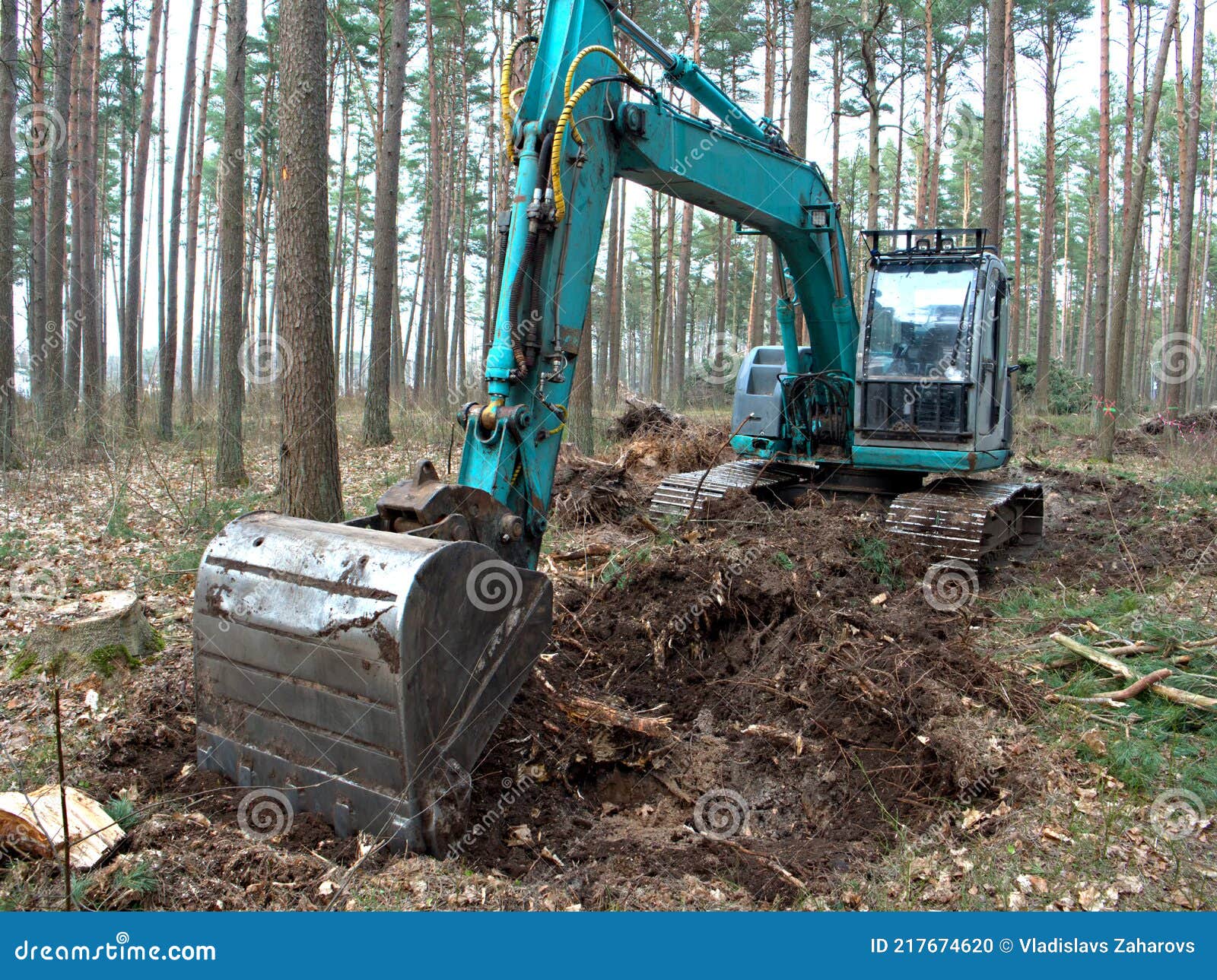 Tractor Digging the Ground with a Bucket, Bucket Close-up, Tree Cutting ...