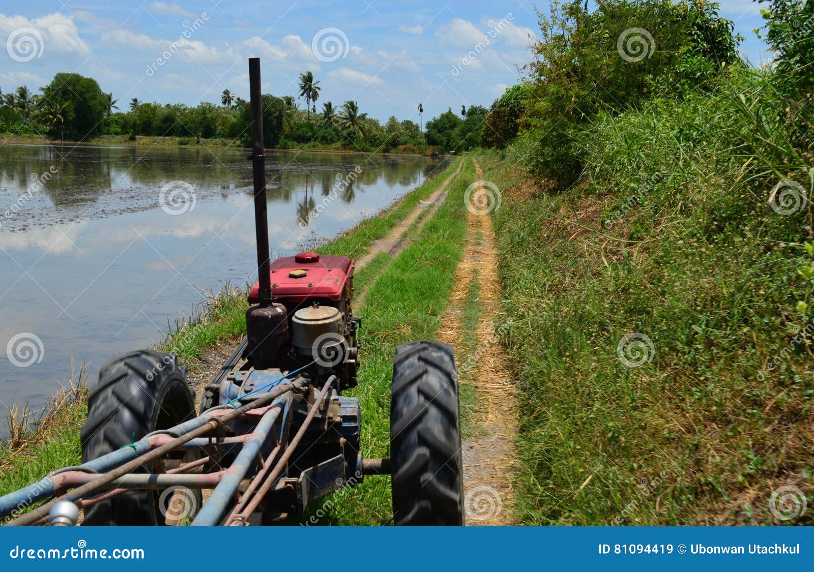 764 Rice Field Tractor Top Stock Photos - Free & Royalty-Free Stock ...