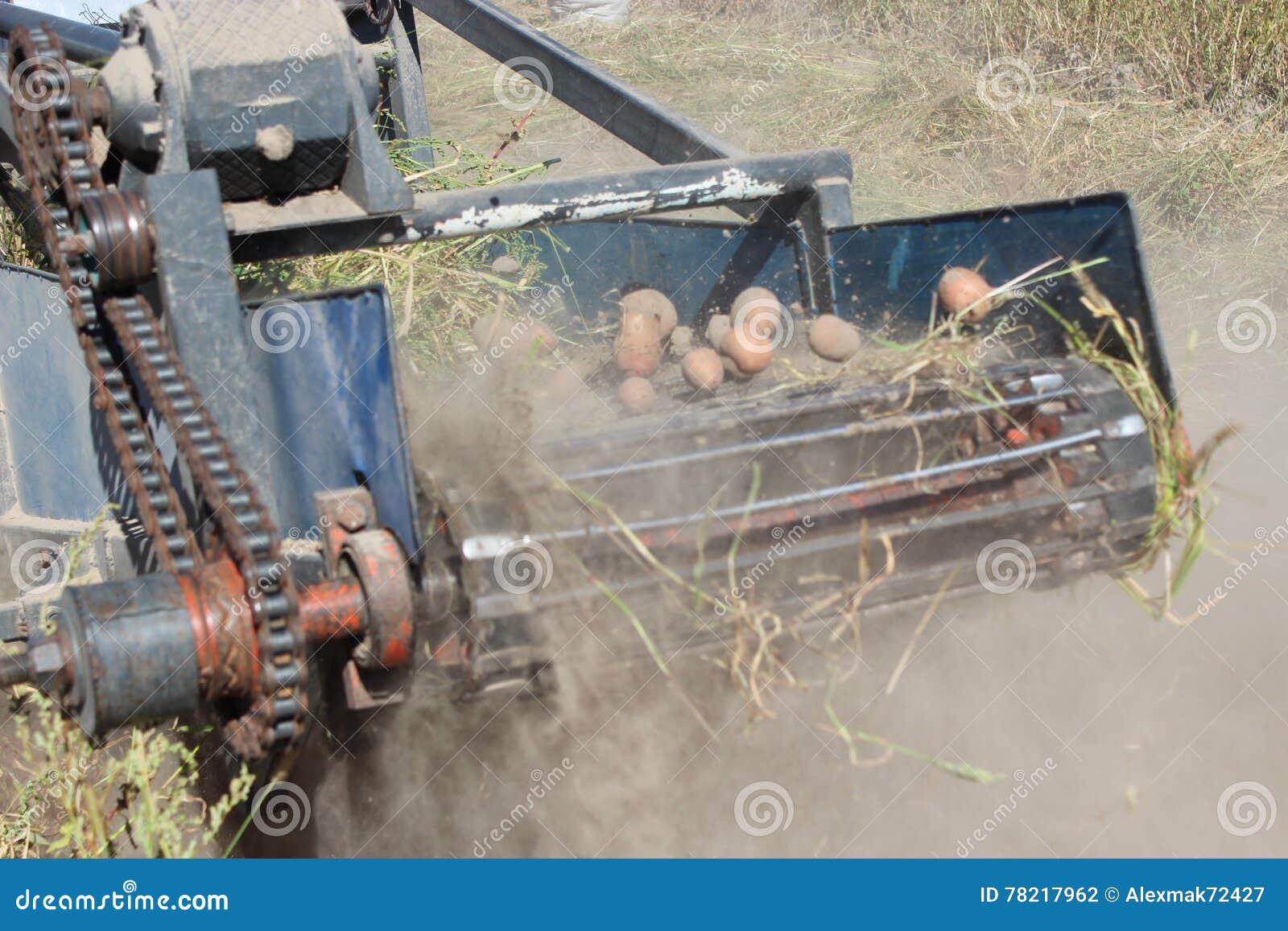 Tractor with Equipment for Digging the Potato Stock Photo - Image of ...