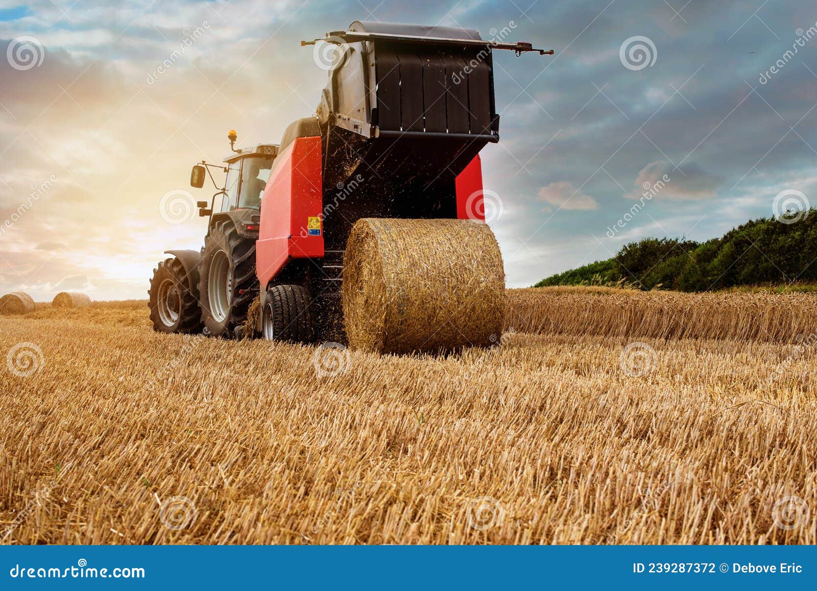 Tractor Equipped with a Baler for Making Round Straw Bales in Action in ...