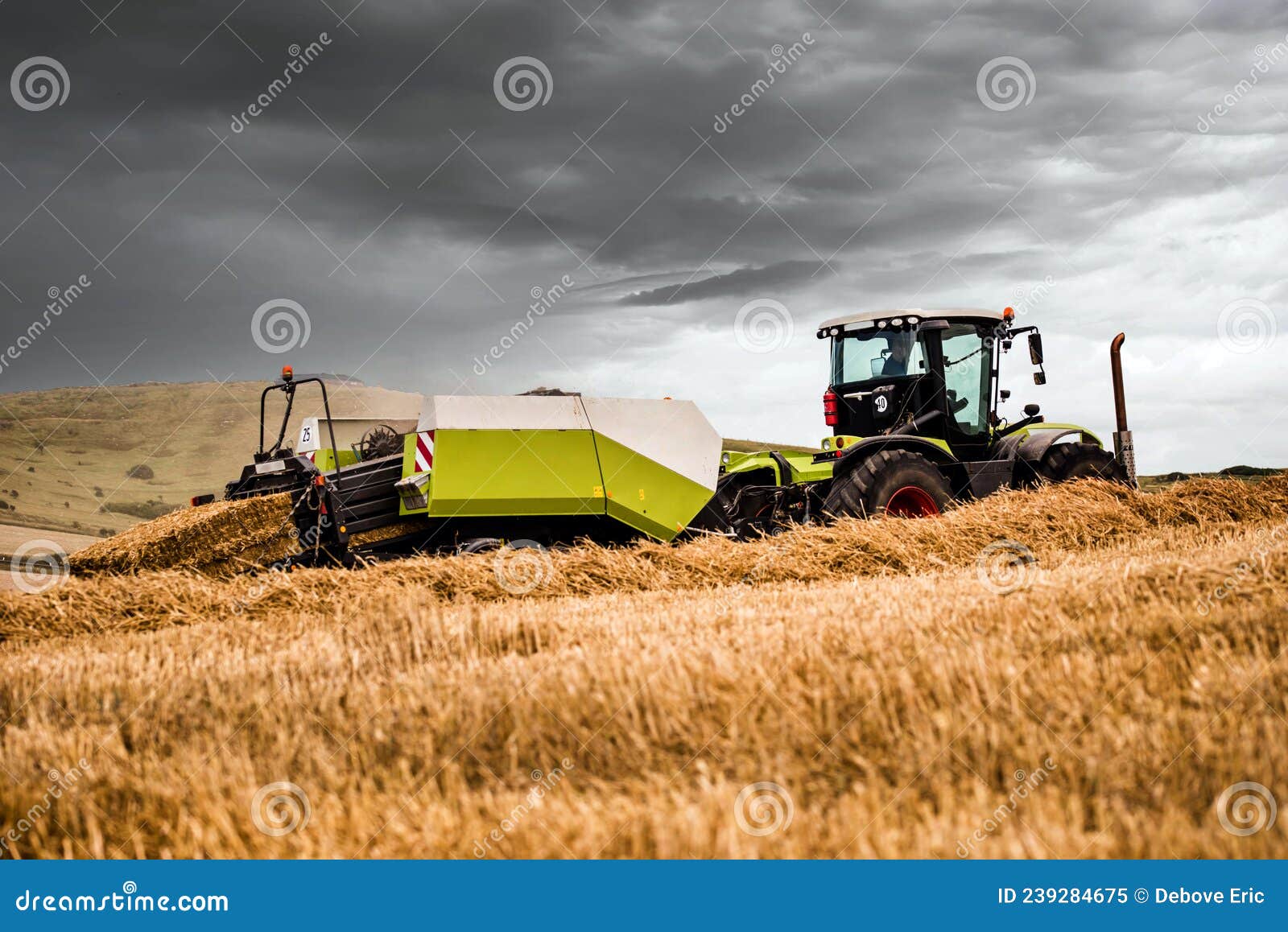 Tractor Equipped with a Baler Picking Up the Straw To Make Large ...
