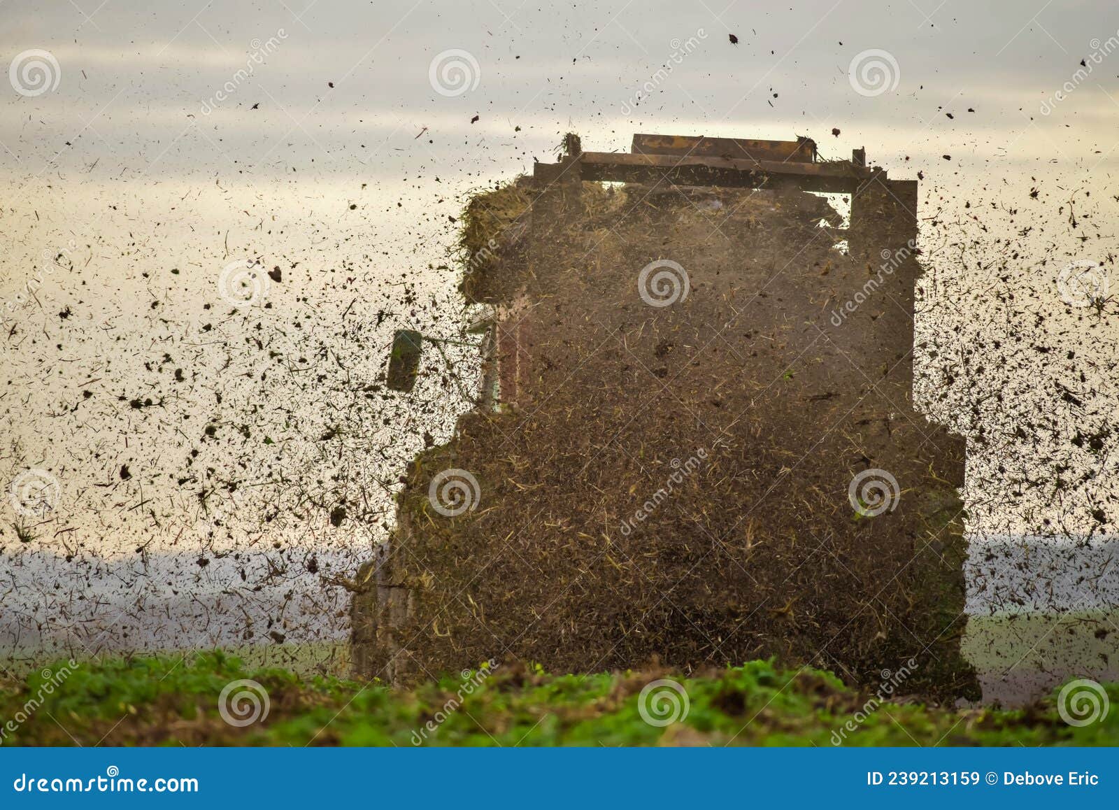 Tractor and Its Spreader Spreading Manure in the Fields Stock Image ...