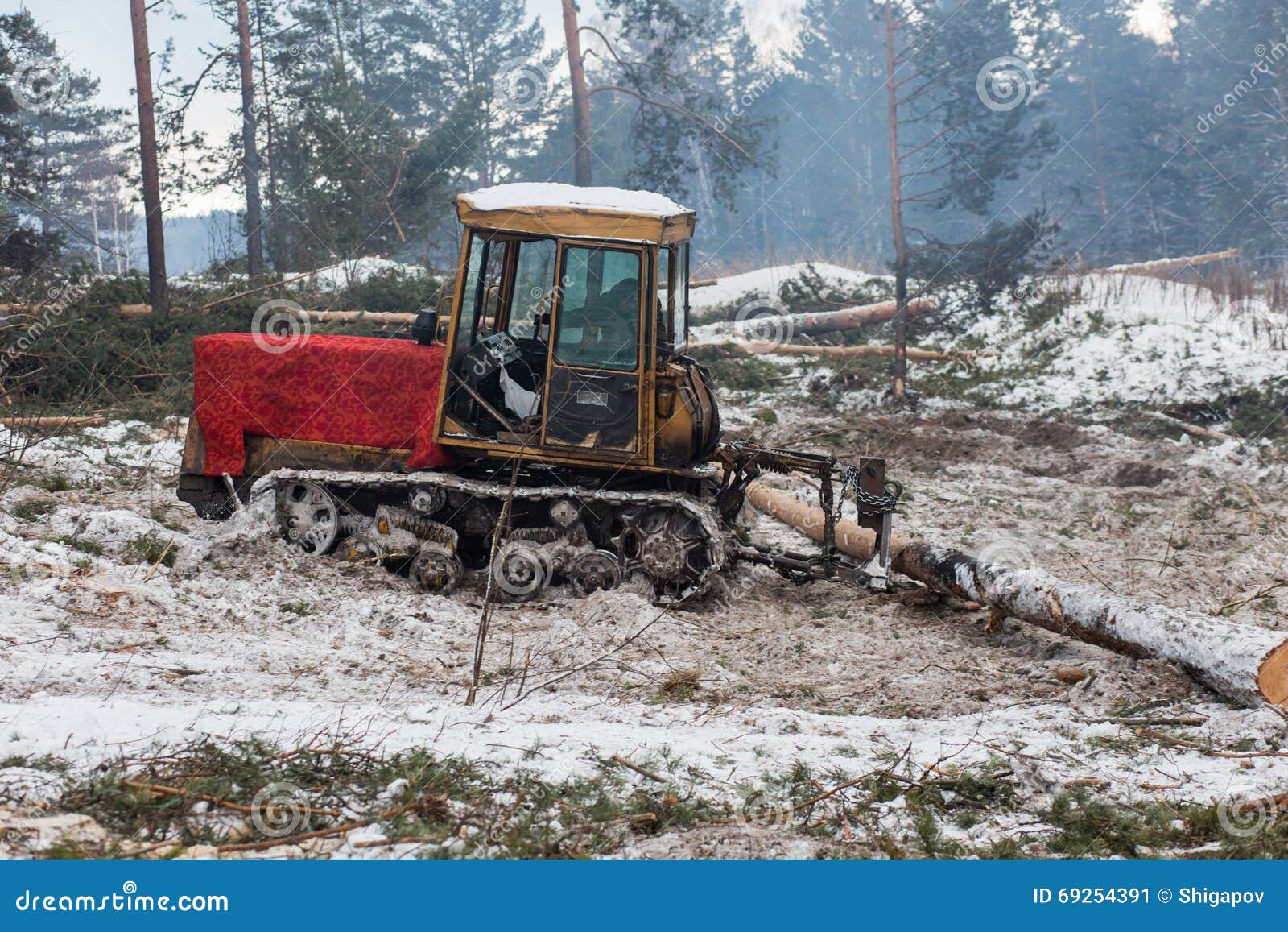 Tractor for Export of Timber Logs Stock Image - Image of occupation ...