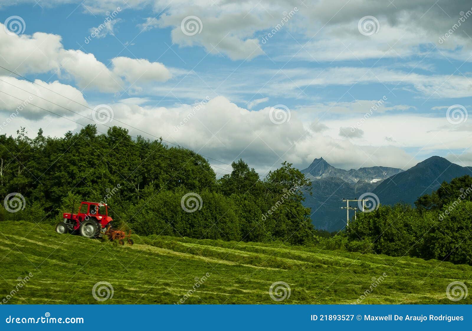 Tractor on Farm in Countryside Stock Image - Image of landscape ...