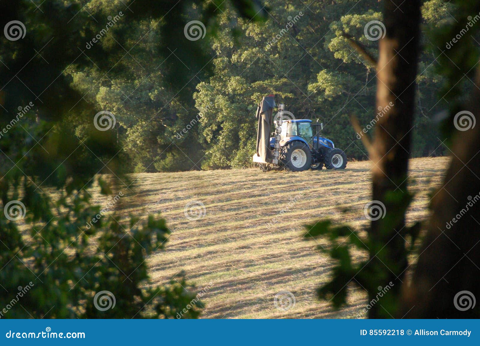 A Tractor on a Farm through the Trees Stock Photo - Image of machine ...
