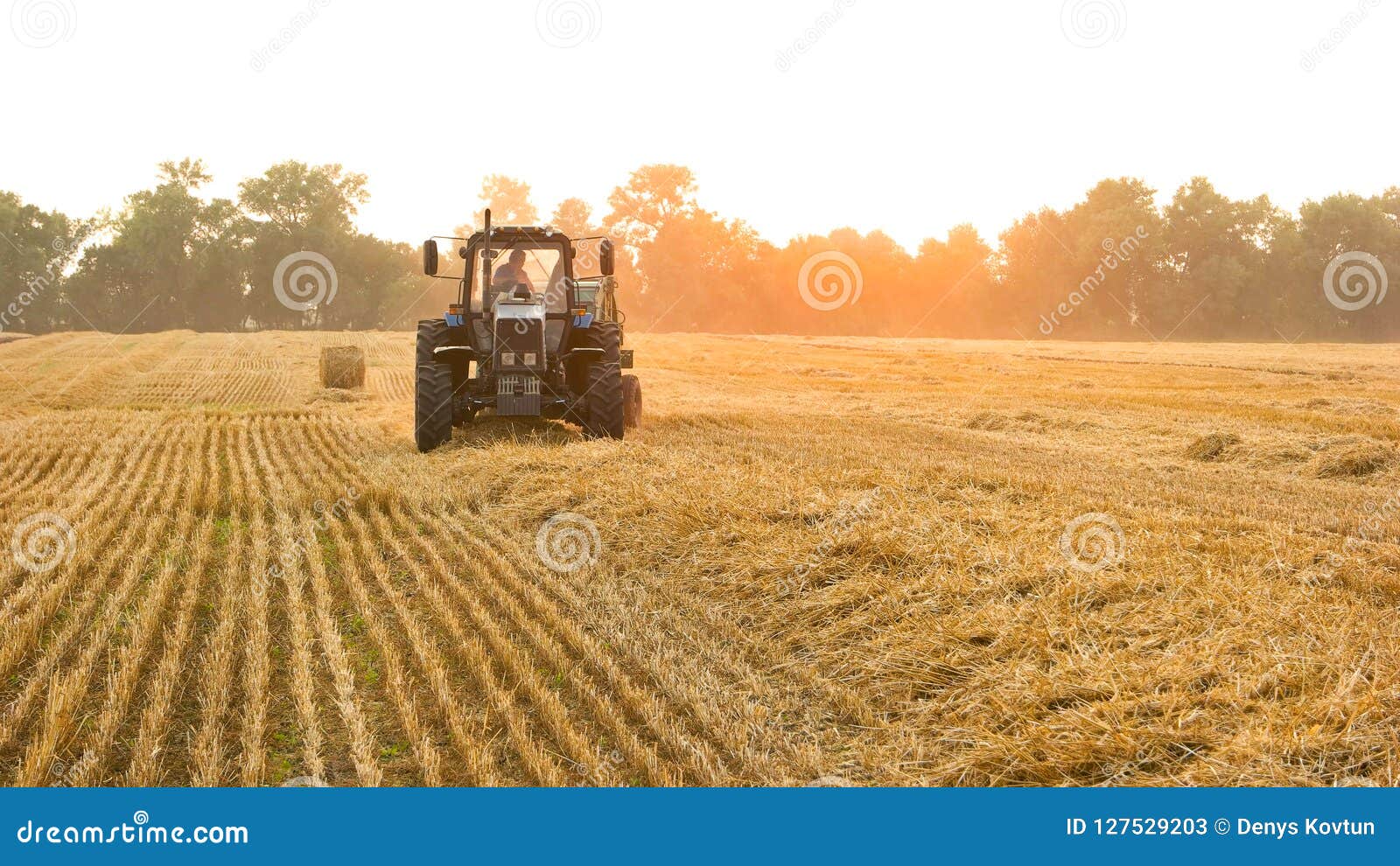 Tractor with Farmer on the Field. Stock Image - Image of contemporary ...