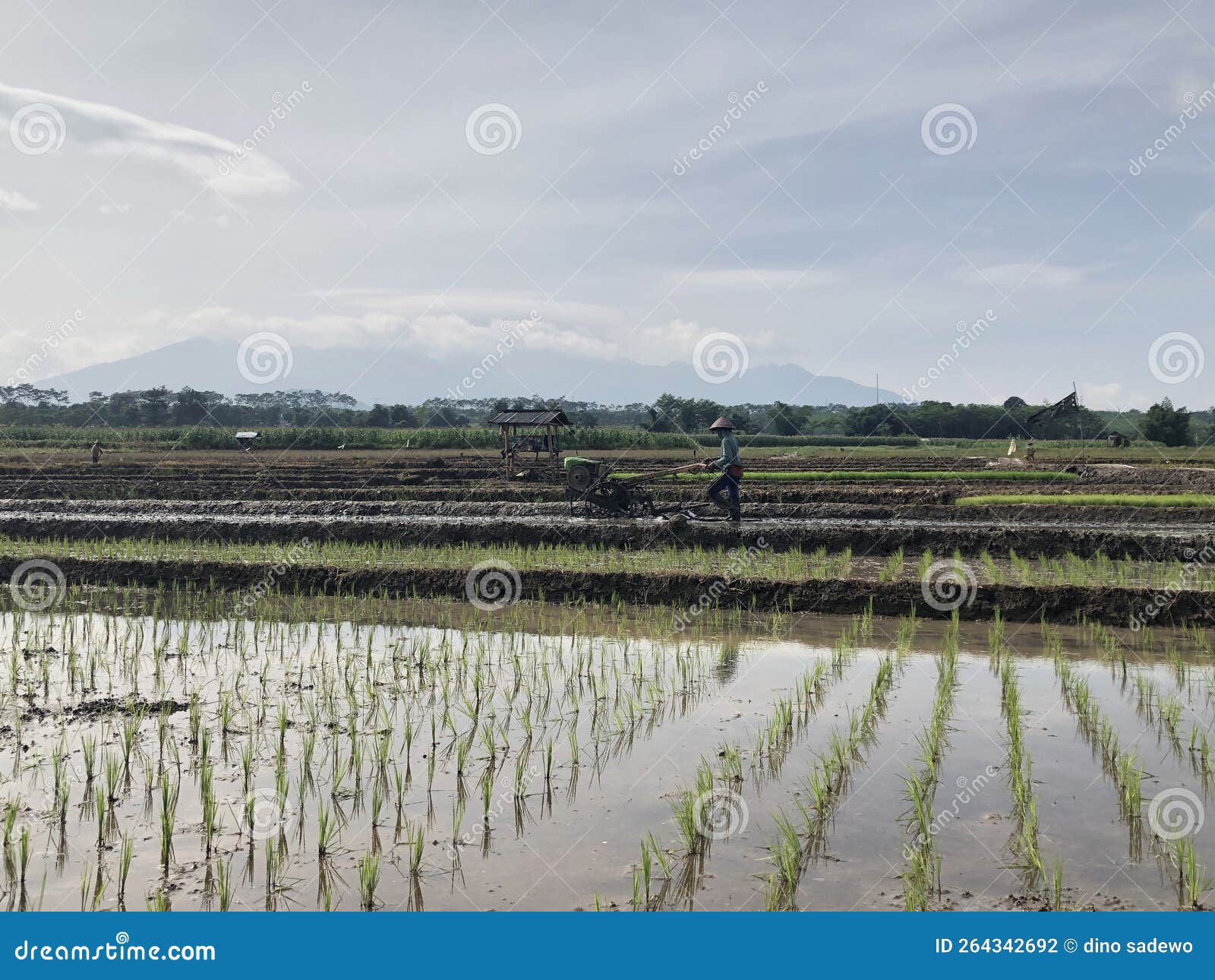 Tractor editorial photography. Image of tractor, java - 264342692