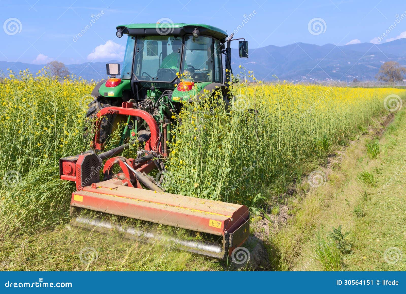 Tractor Farming on Canola Field Stock Image - Image of bloom, beautiful ...